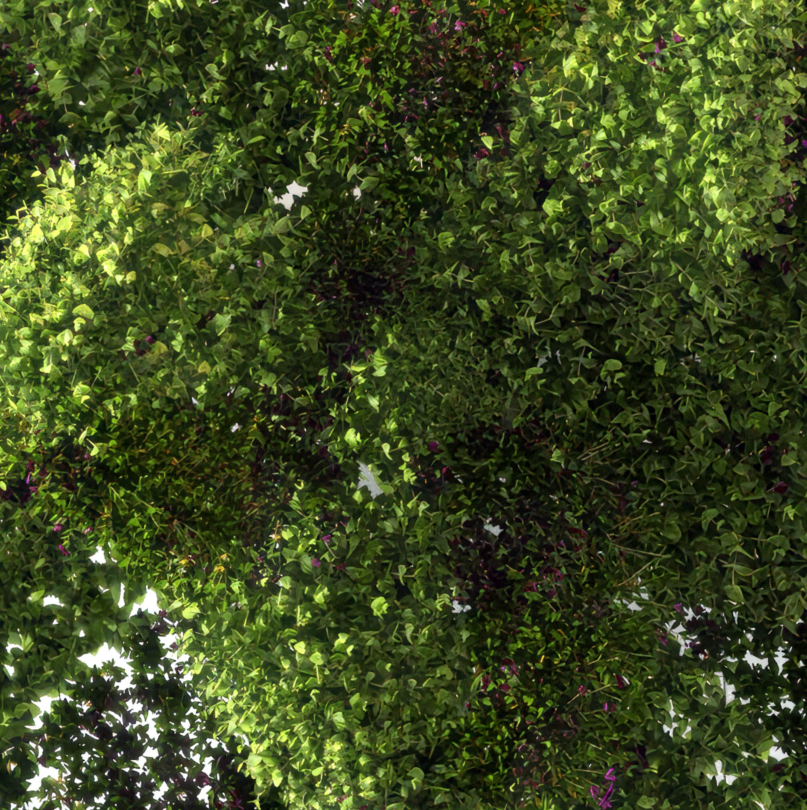 outdoor Modern greenery 3D model | CGTrader