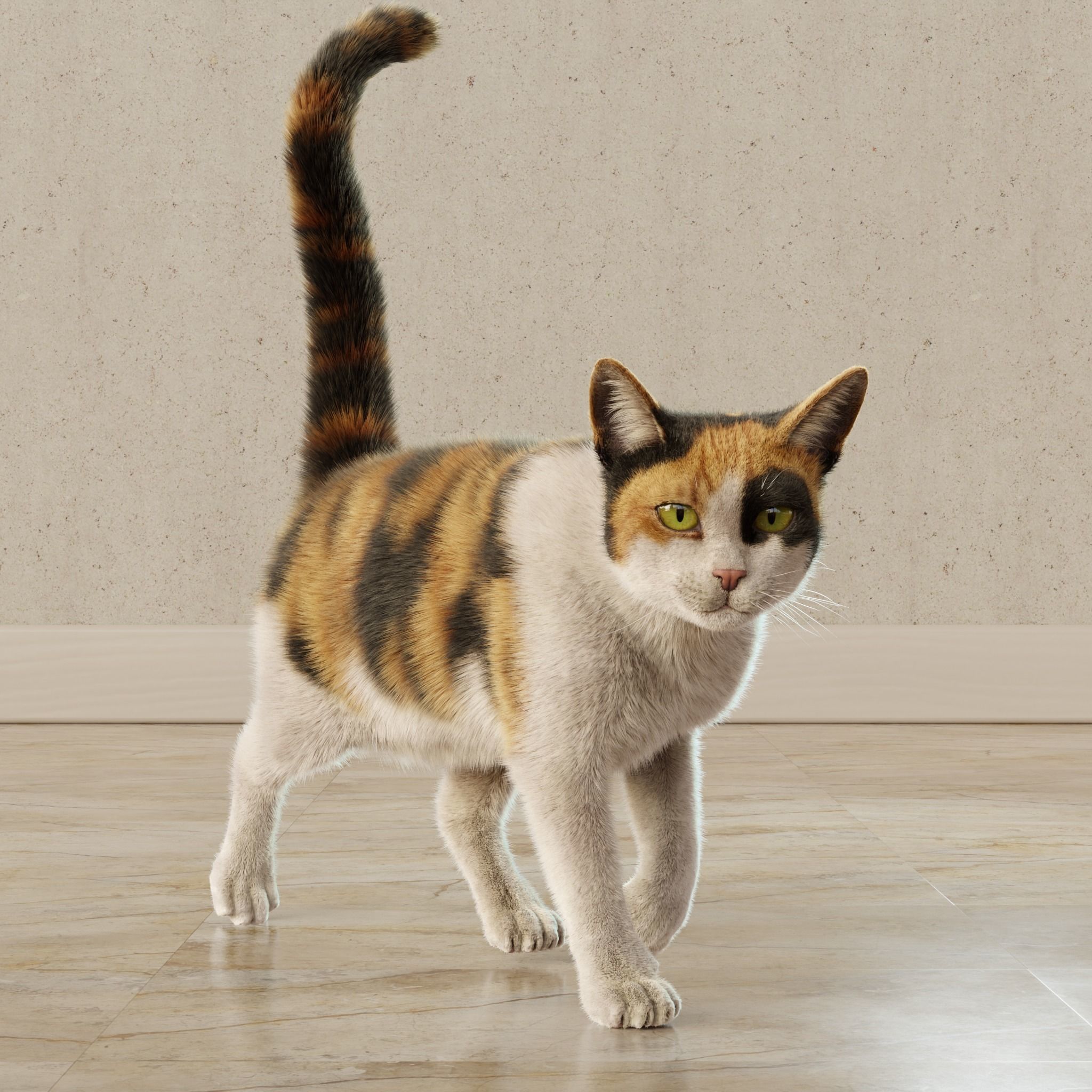 Cat Calico Rigged Animated 3D model animated rigged | CGTrader