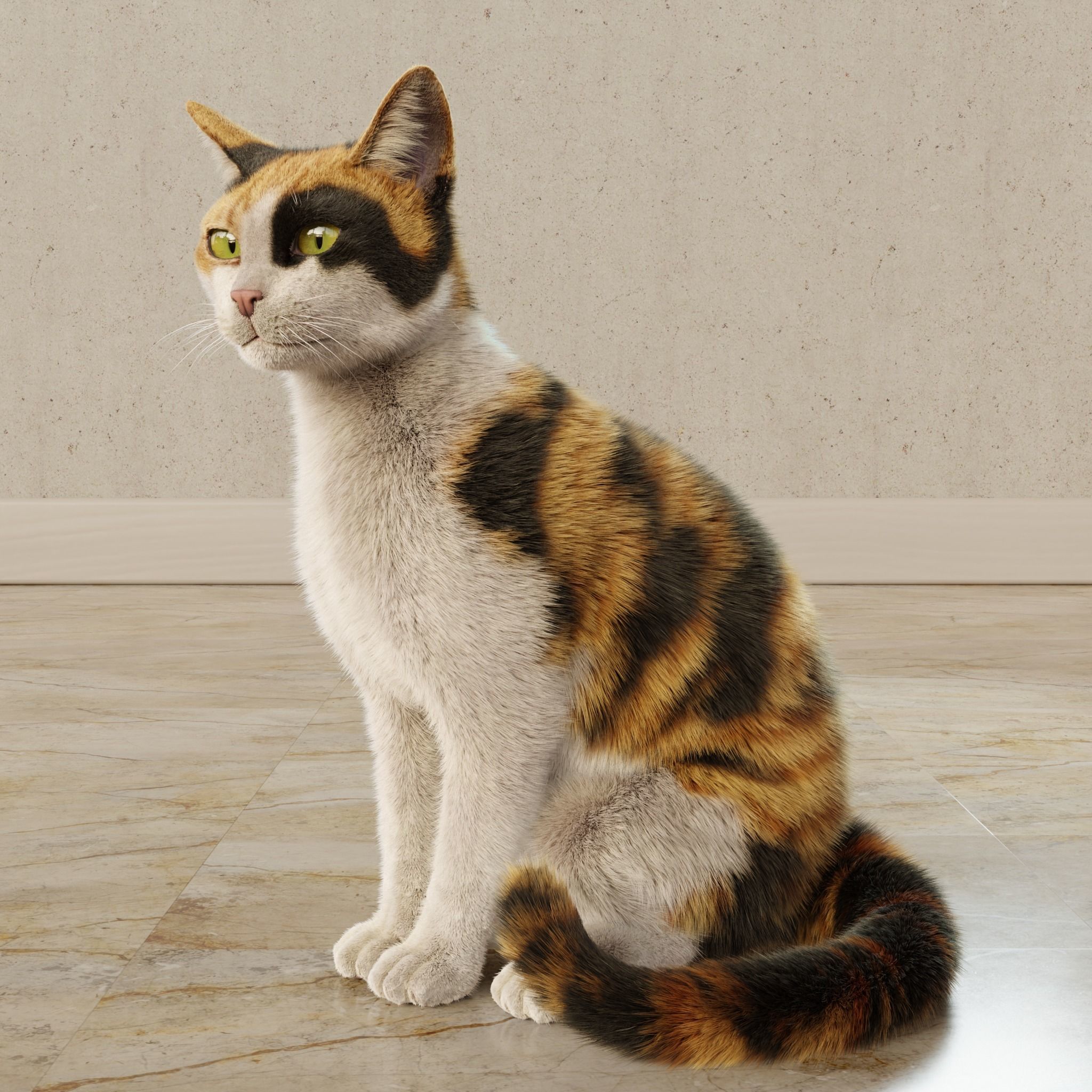 Cat Calico Rigged Animated 3D model animated rigged | CGTrader