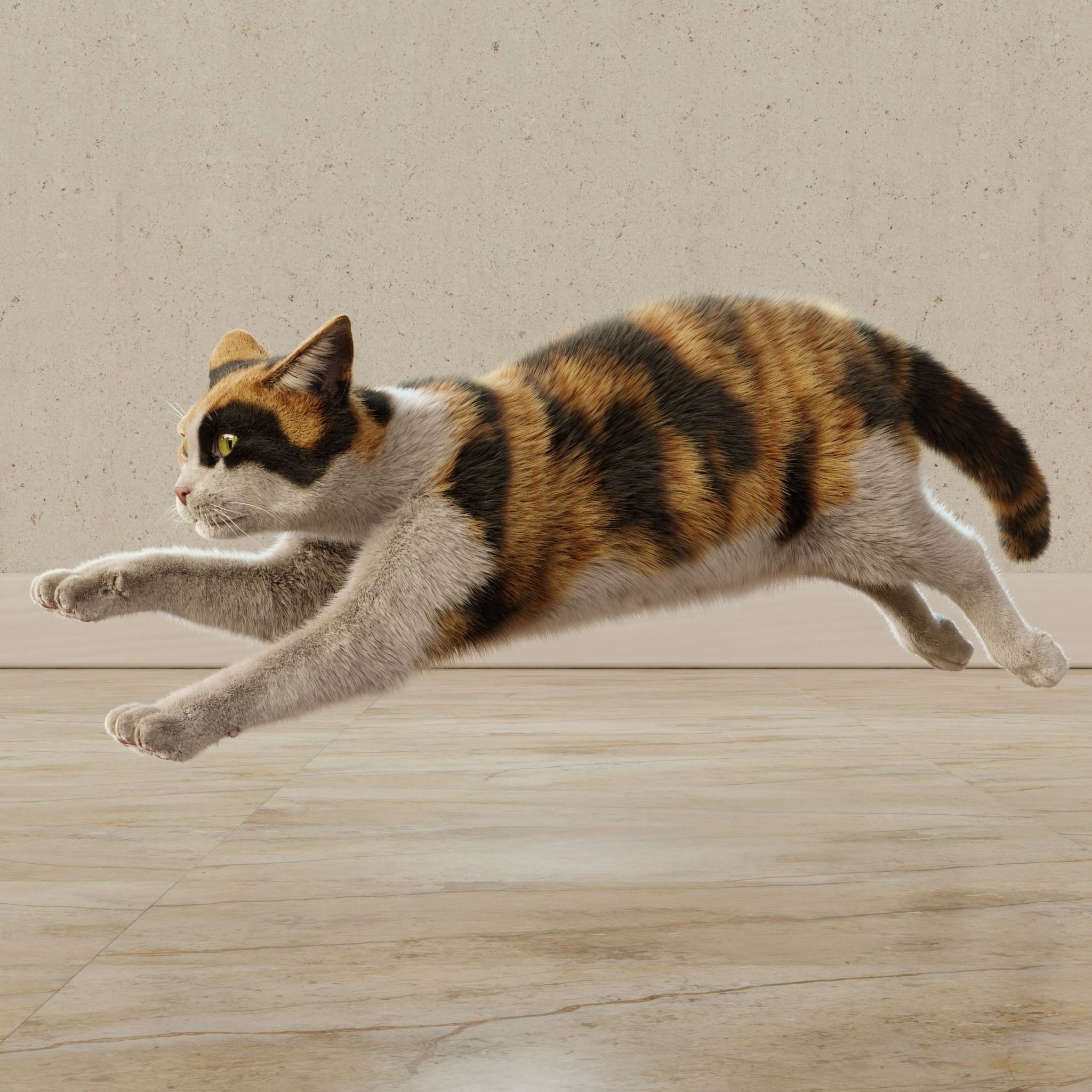Cat Calico Rigged Animated 3D model animated rigged | CGTrader