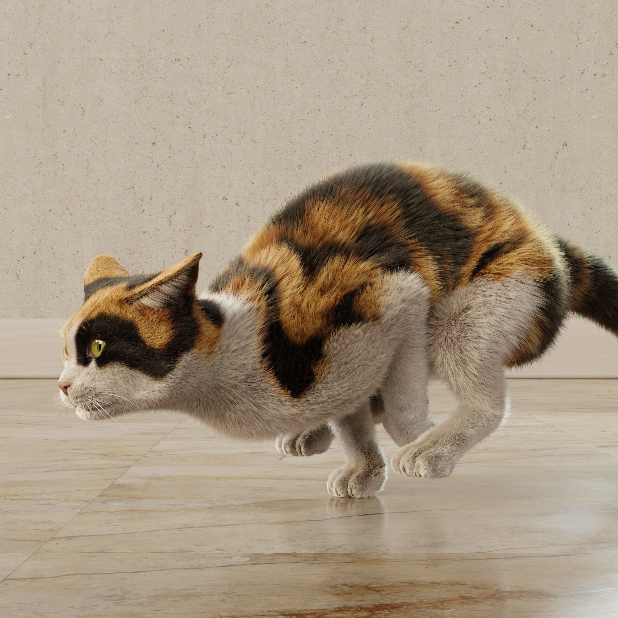 Cat Calico Rigged Animated 3D model animated rigged | CGTrader