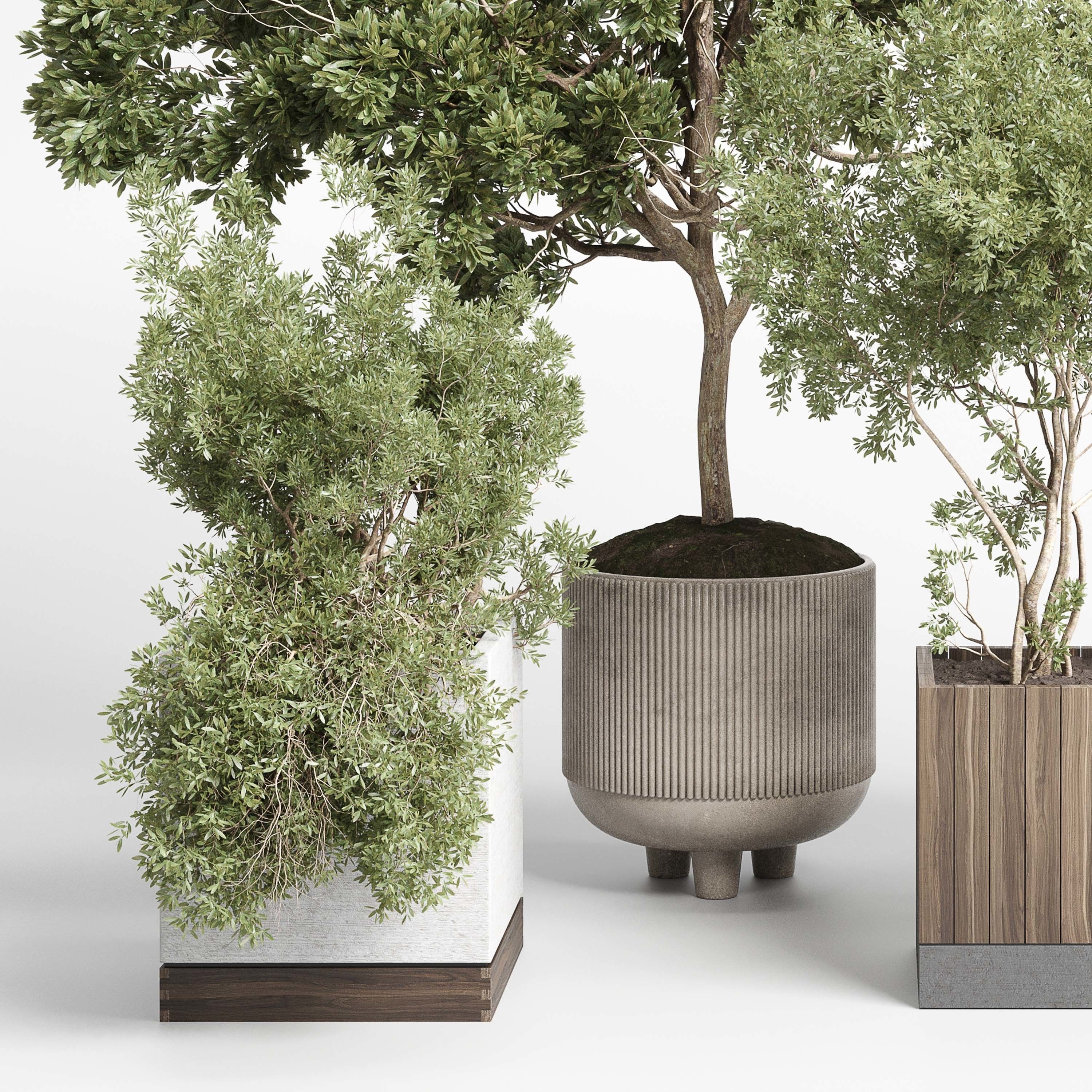 3D model Collection indoor outdoor plant 405 plant tree VR / AR / low ...