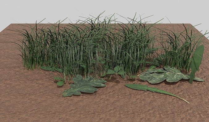 3D model photorealistic natural groundcovers VR / AR / low-poly | CGTrader