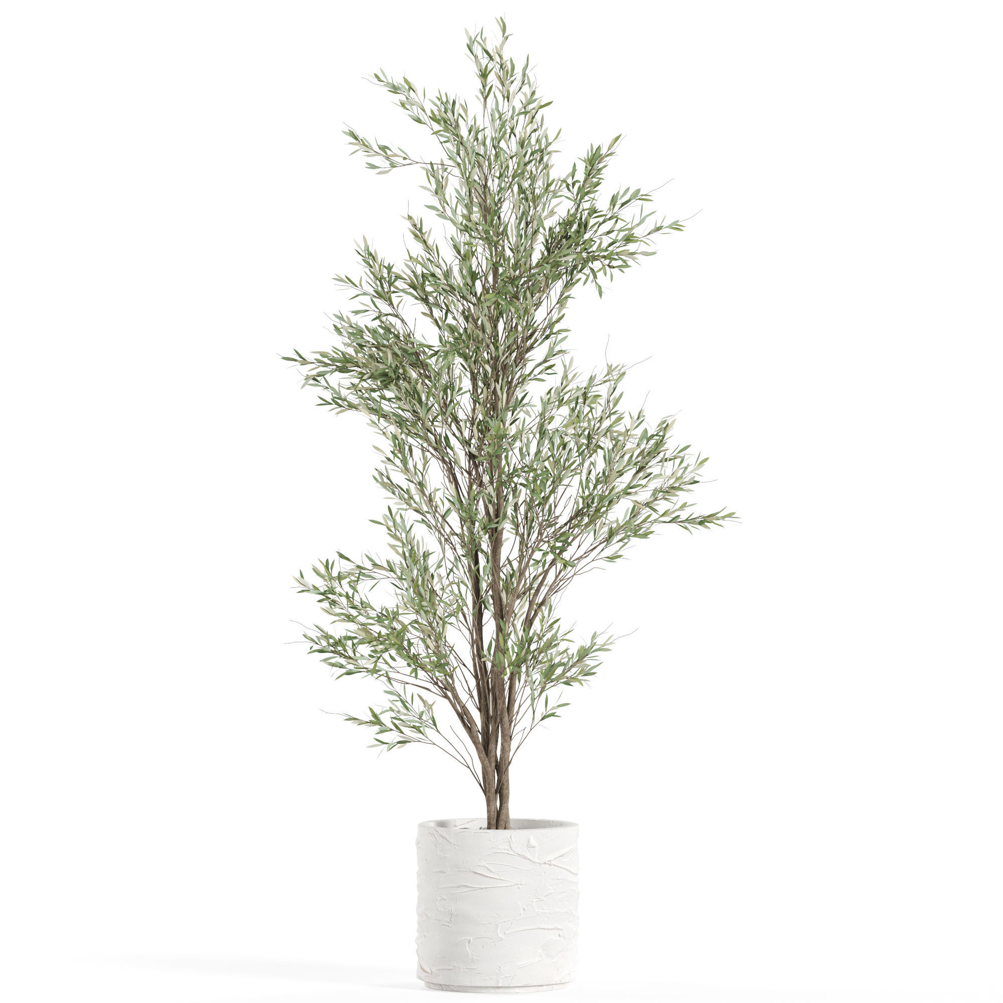 Plants collection 981 3D model | CGTrader