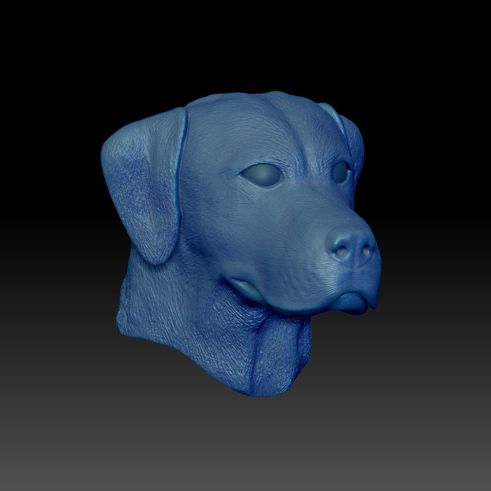 Labrador Male Head Portrait STL-3D Printing Model High Polygon 3D model ...
