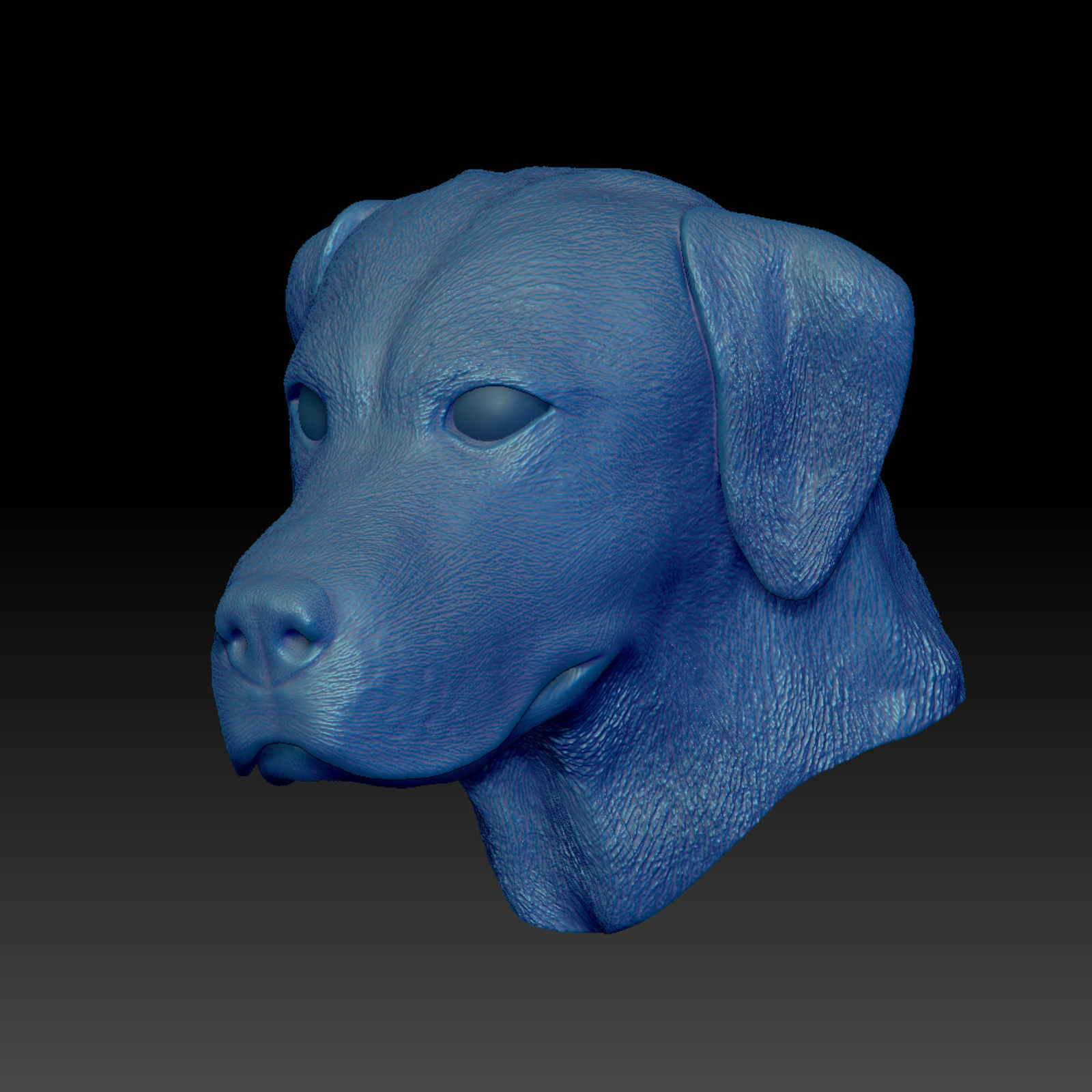 Labrador Male Head Portrait STL-3D Printing Model High Polygon 3D model ...