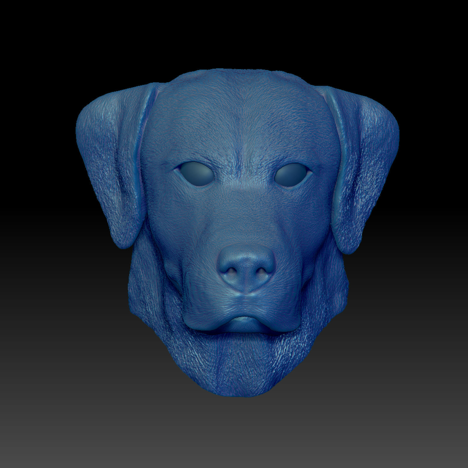 Labrador Male Head Portrait STL-3D Printing Model High Polygon 3D model ...