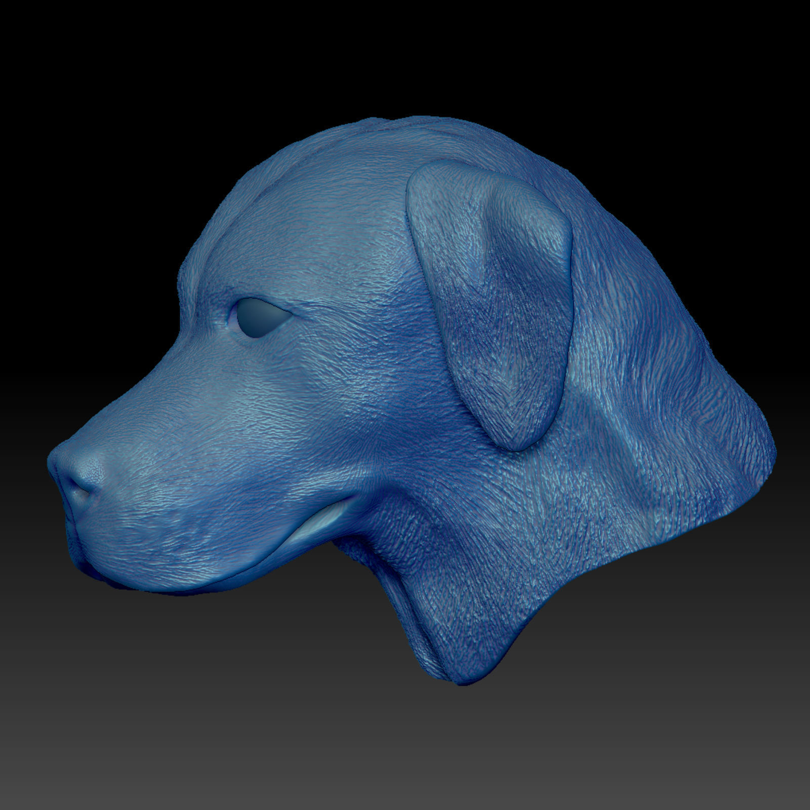 Labrador Male Head Portrait STL-3D Printing Model High Polygon 3D model ...