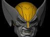 WOLVERINE ANGRY FACE 3D model | CGTrader