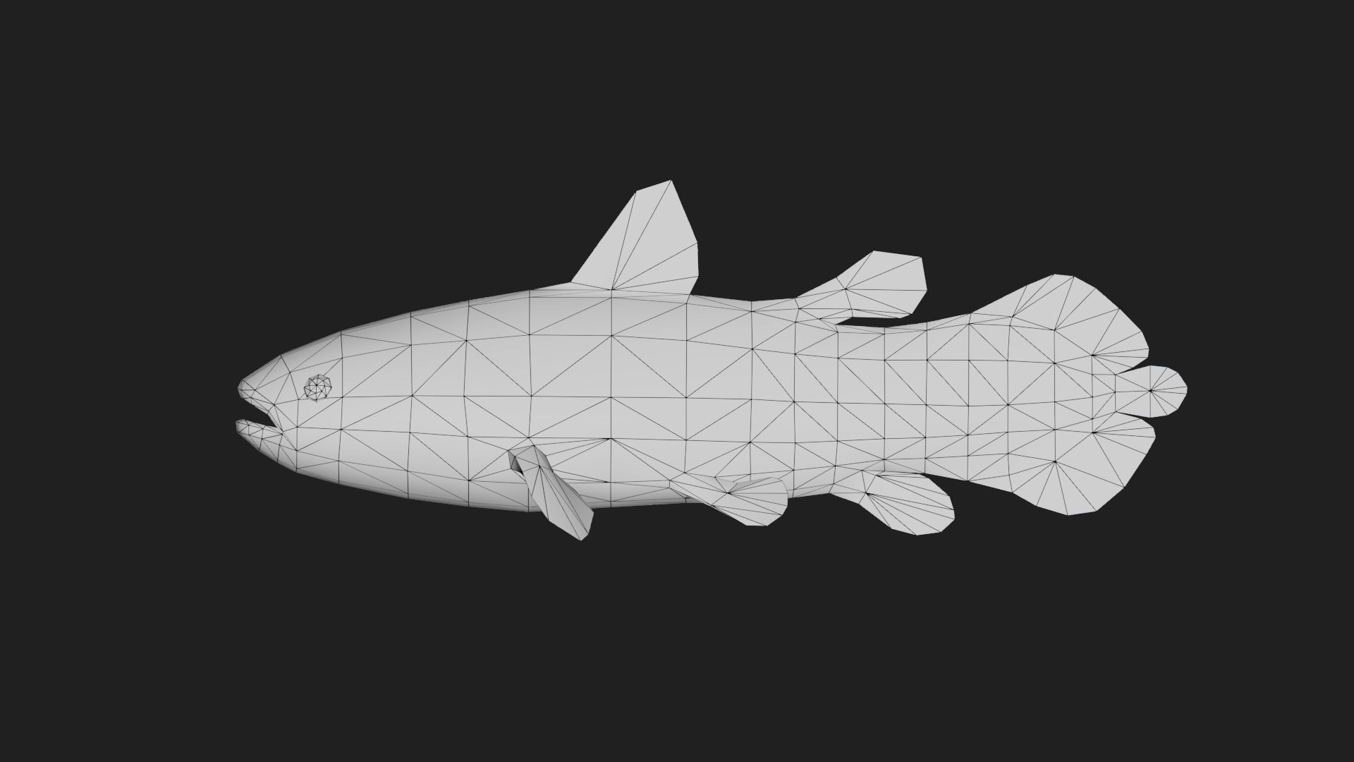 3D model Coelacanth VR / AR / low-poly | CGTrader