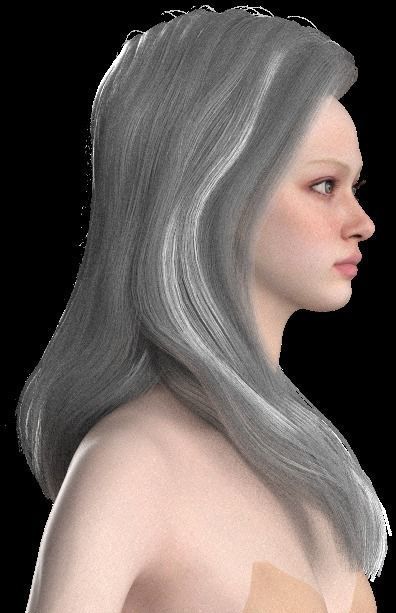 Long hair 041-FV2 for FV2 3D model from Clo3D Software 3D model | CGTrader