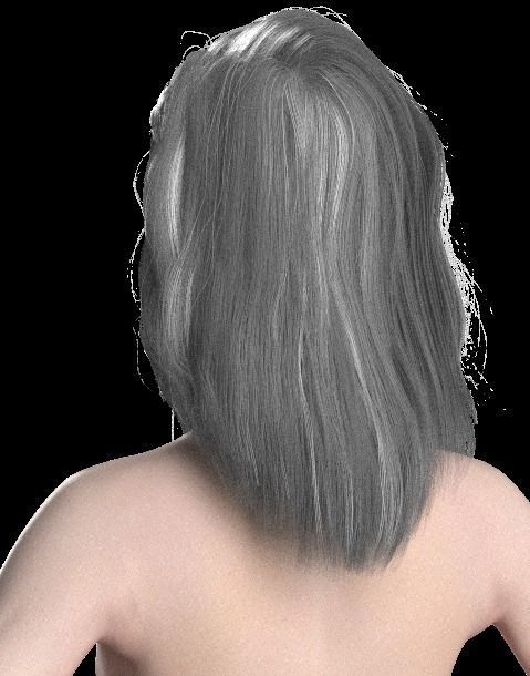 Long hair 041-FV2 for FV2 3D model from Clo3D Software 3D model | CGTrader