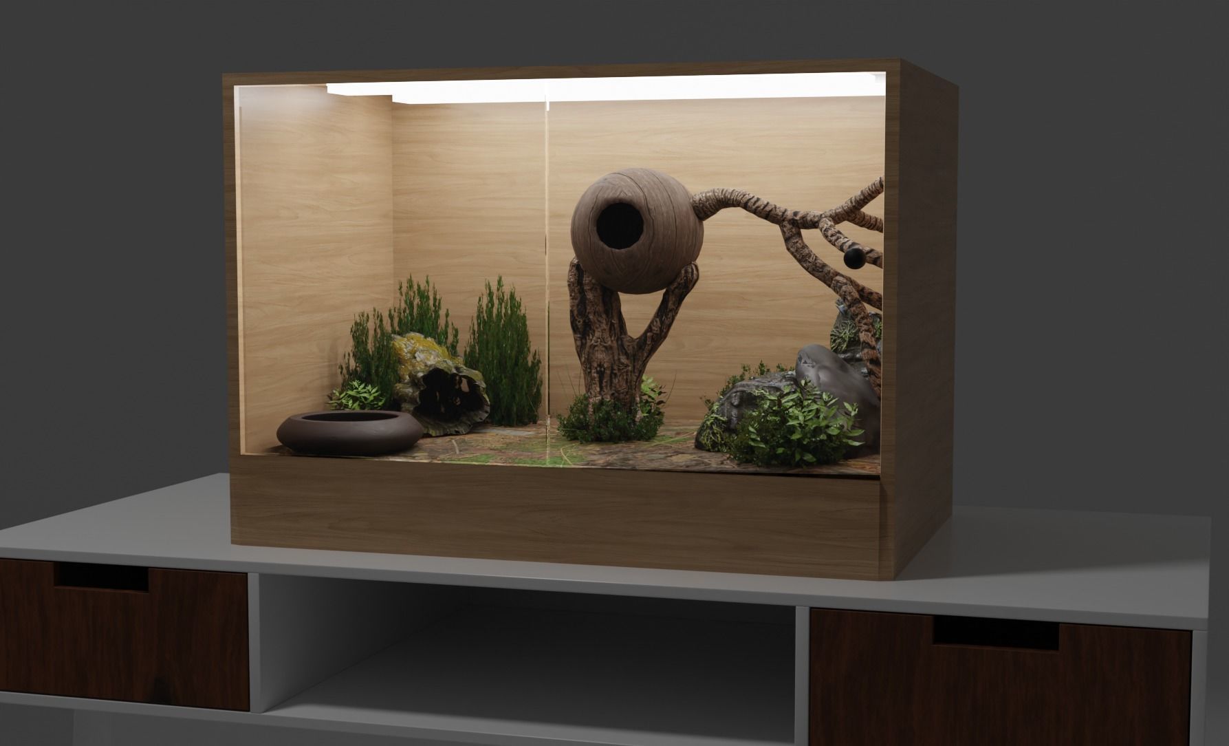 Terrarium for reptiles 3D model | CGTrader