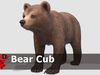 3D model BEAR - CUB VR / AR / low-poly rigged animated | CGTrader