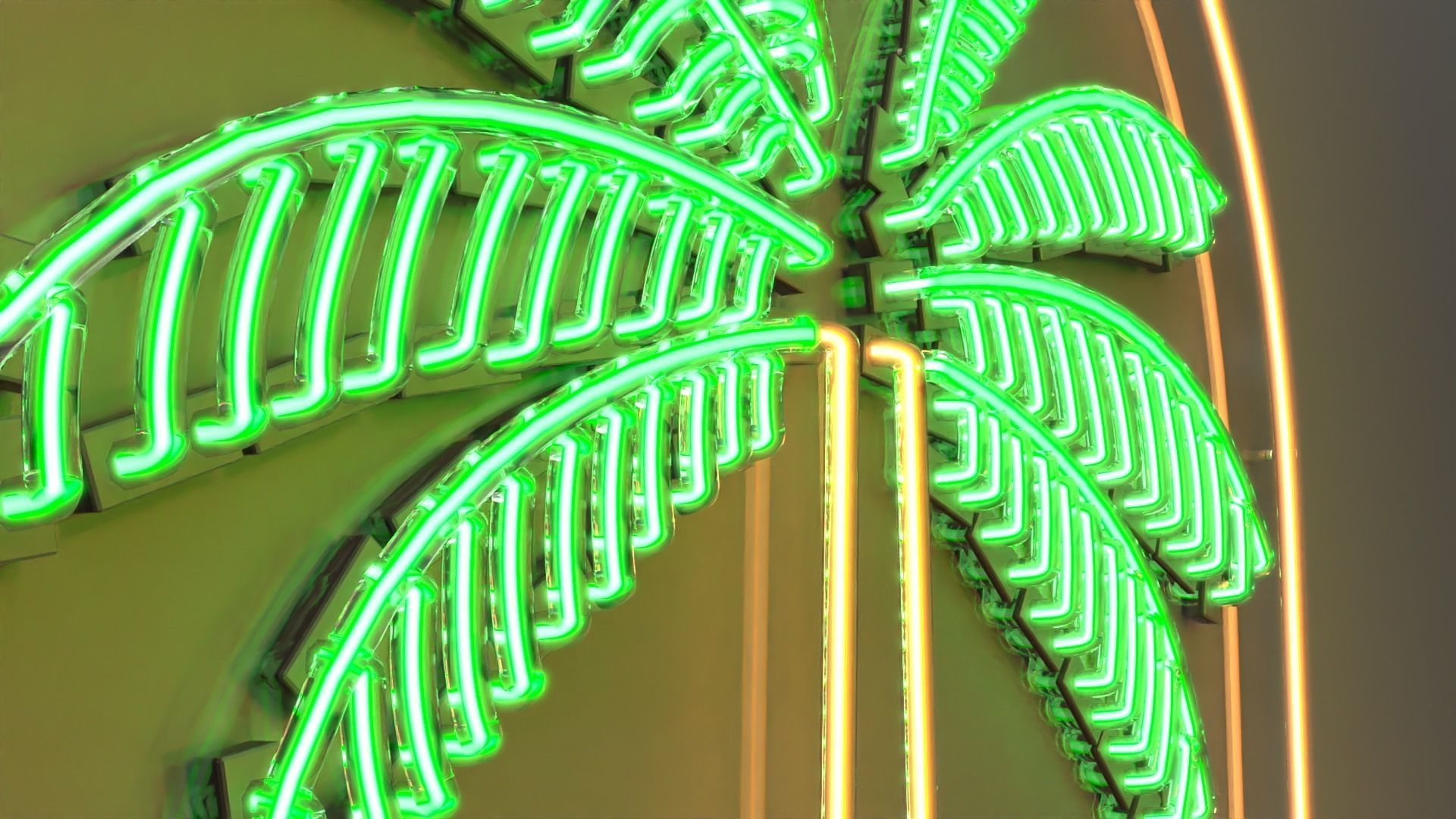 Palm Tree - Neon Sign 3D model | CGTrader