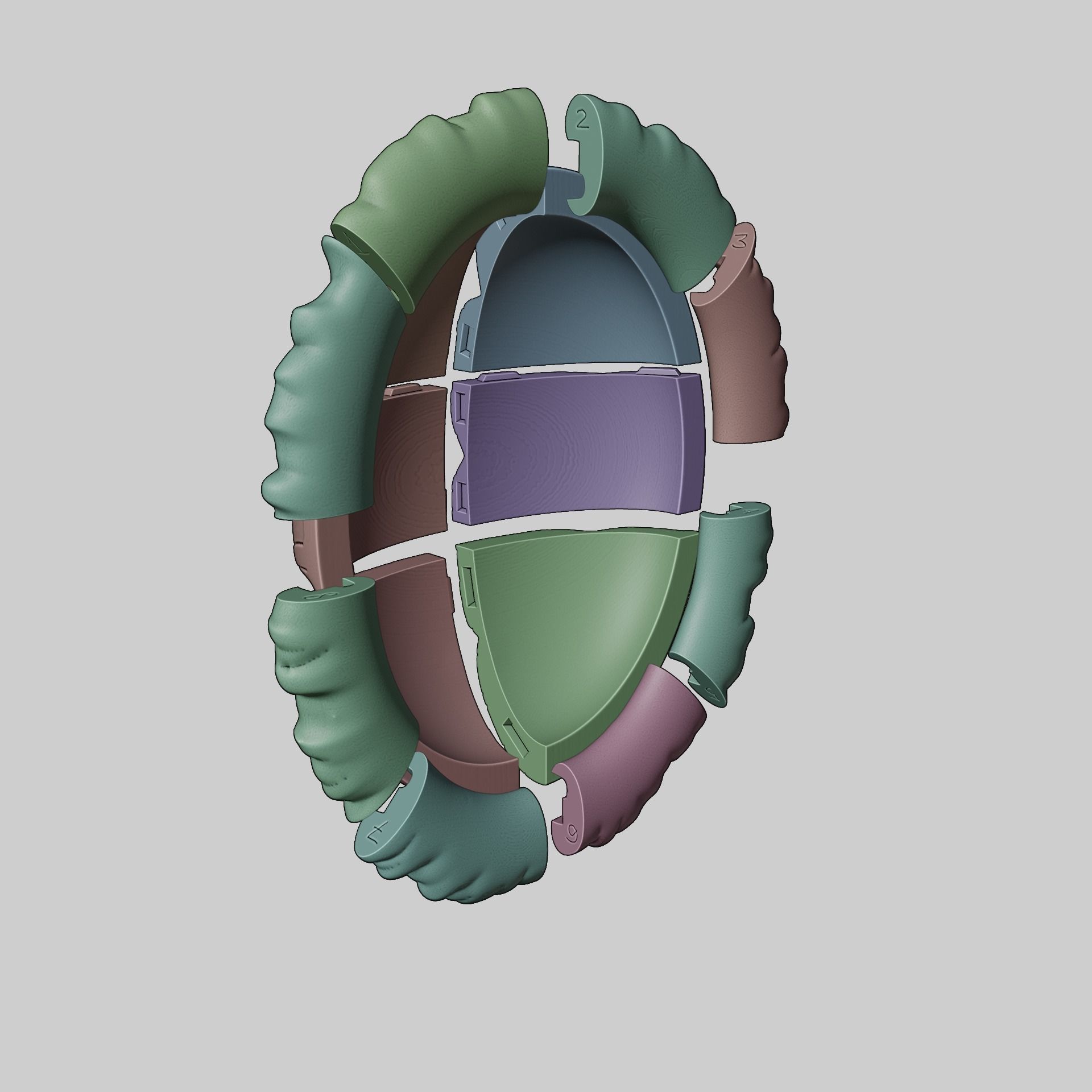 Turtles Shell from Teenage Mutant Ninja Turtles Mutant Mayhem 3D model ...