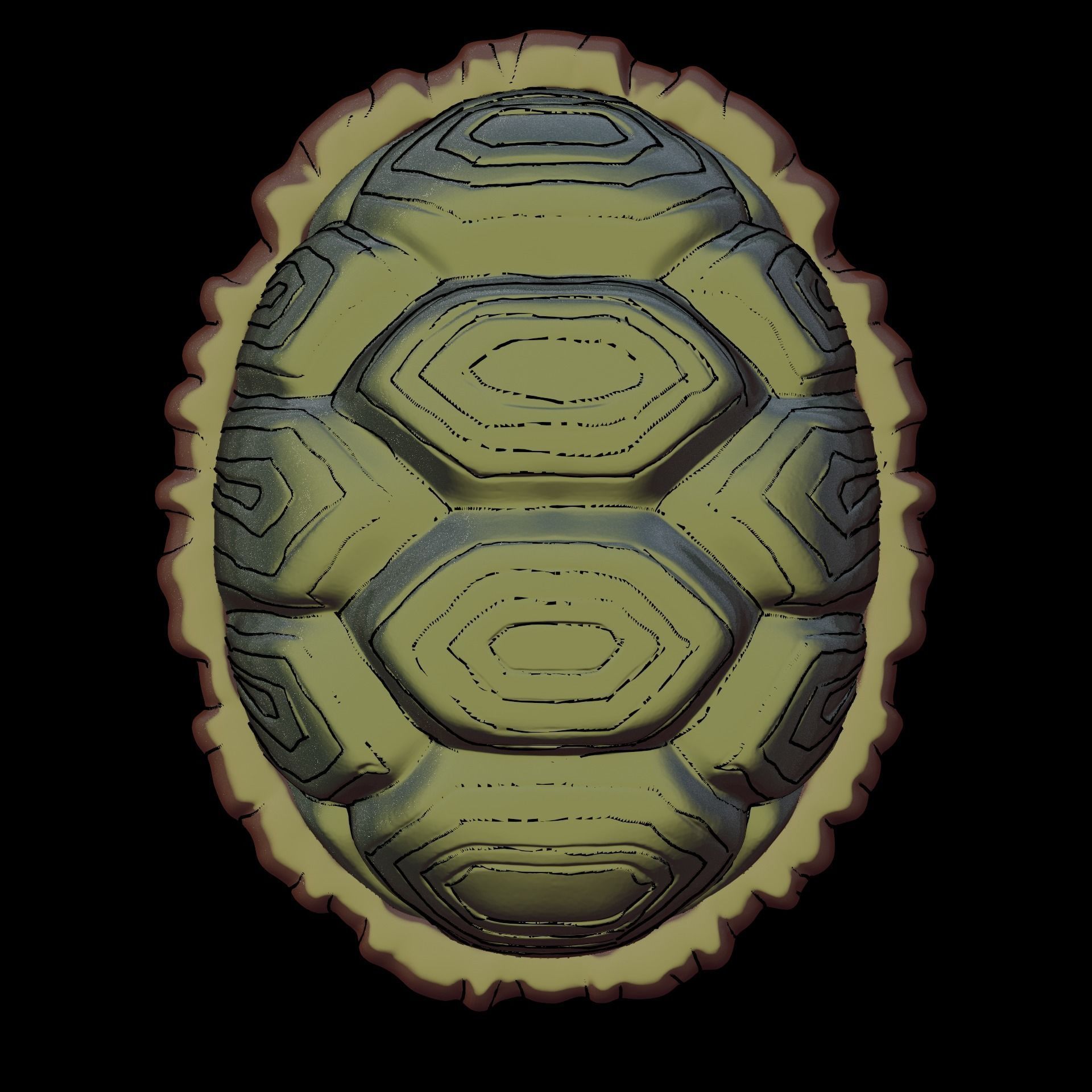 Turtles Shell from Teenage Mutant Ninja Turtles Mutant Mayhem 3D model ...