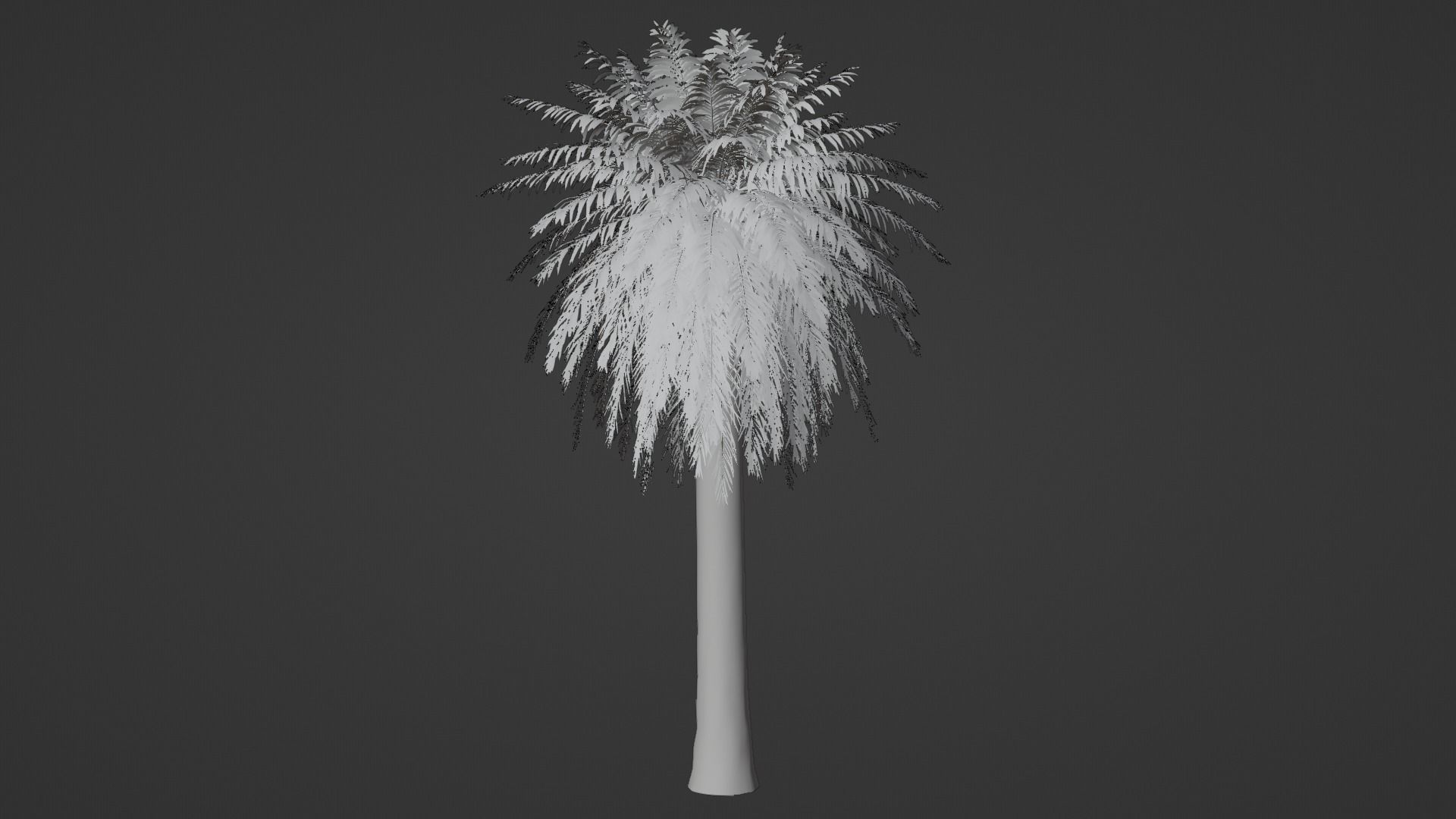 3D model Palm Pack VR / AR / low-poly | CGTrader