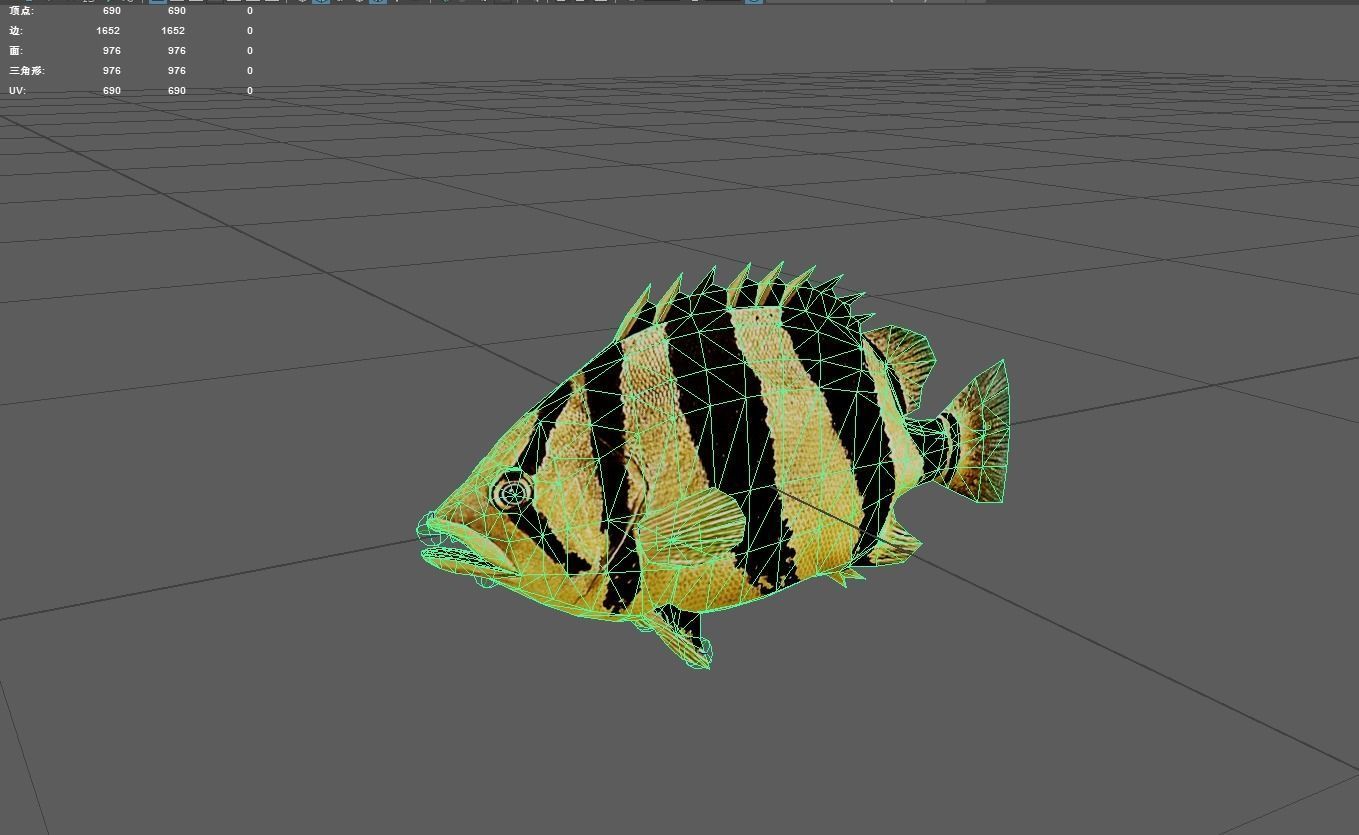 3D model Tigerfish VR / AR / low-poly | CGTrader