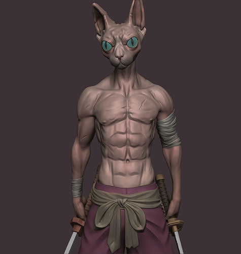 Samurai Cat 3D model | CGTrader