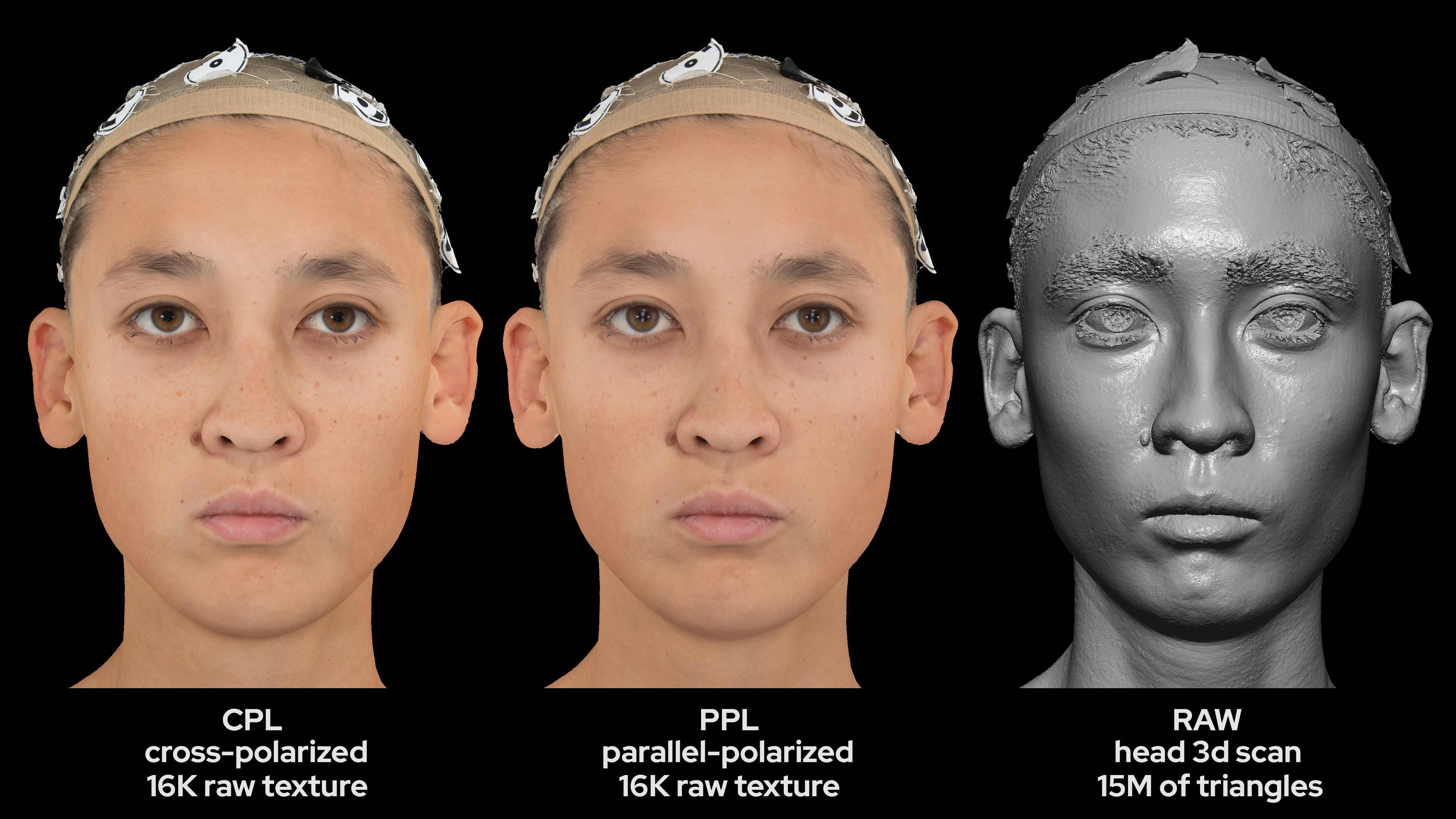 Asian Male 30s head scan 040 3D model | CGTrader