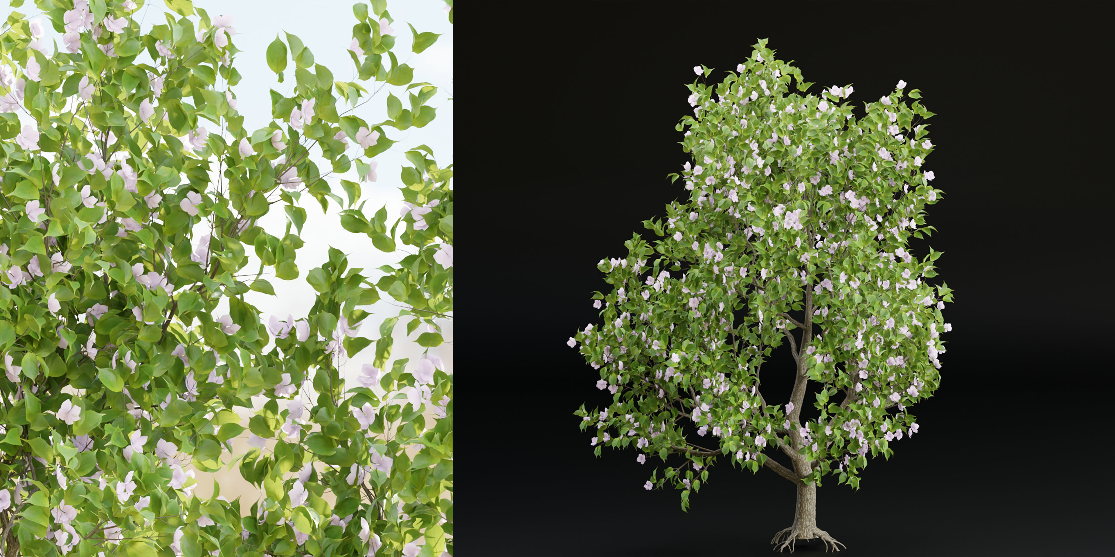 collection trees vol 13-Blender 3D model | CGTrader