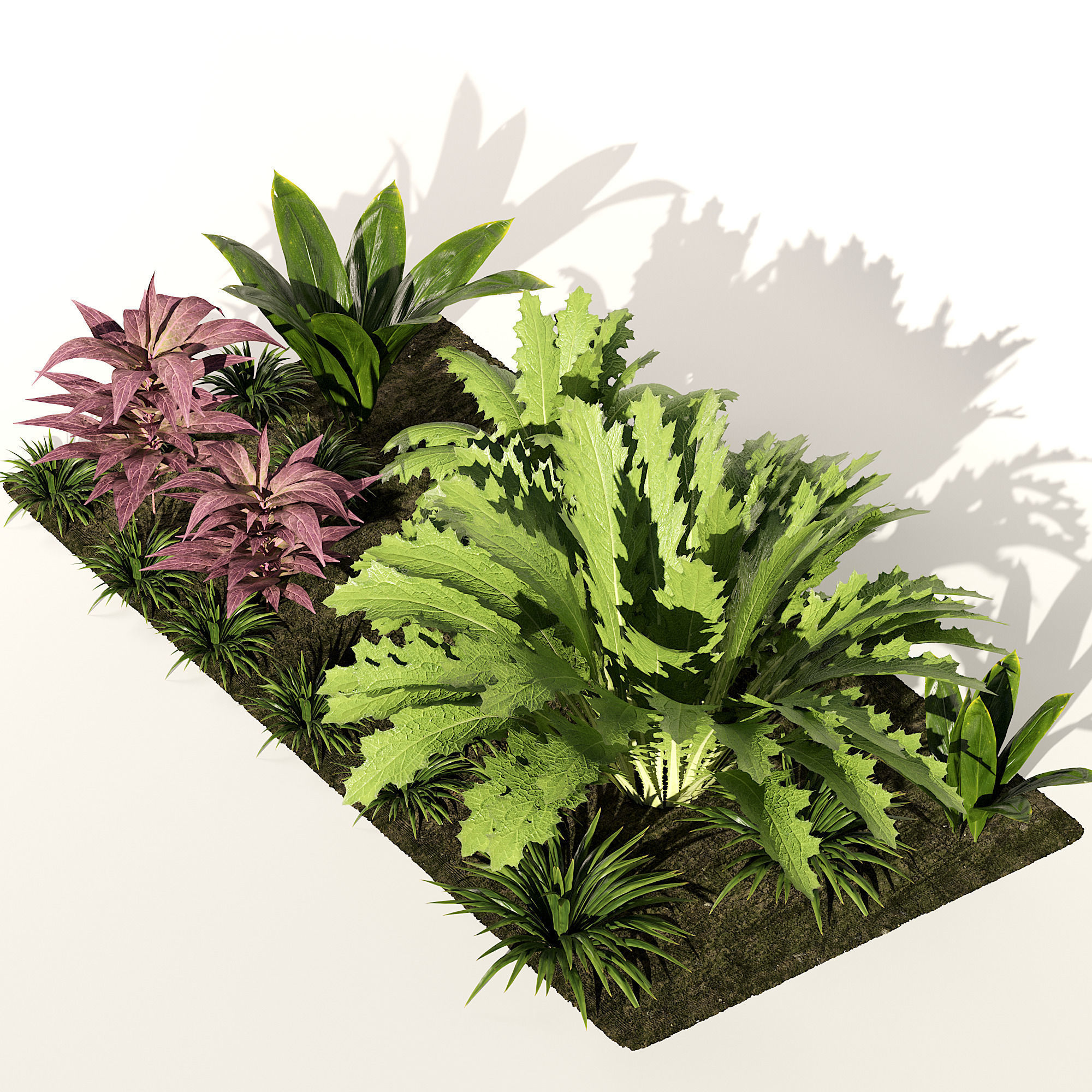 3D model Vivid Tropical Plants VR / AR / low-poly | CGTrader