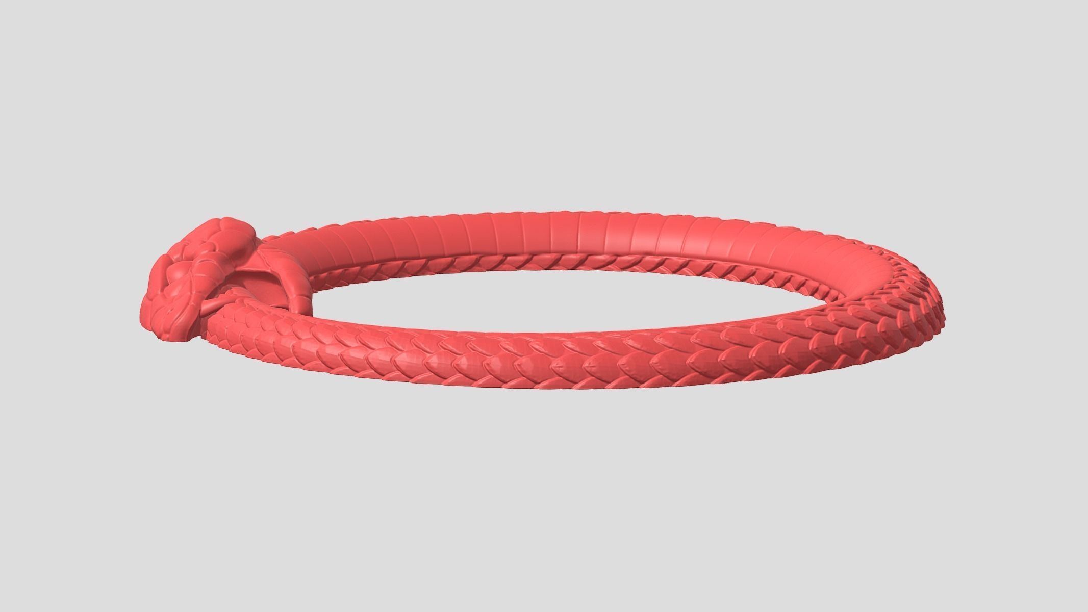 Snake Eating Its Own Tail 3D model 3D printable | CGTrader