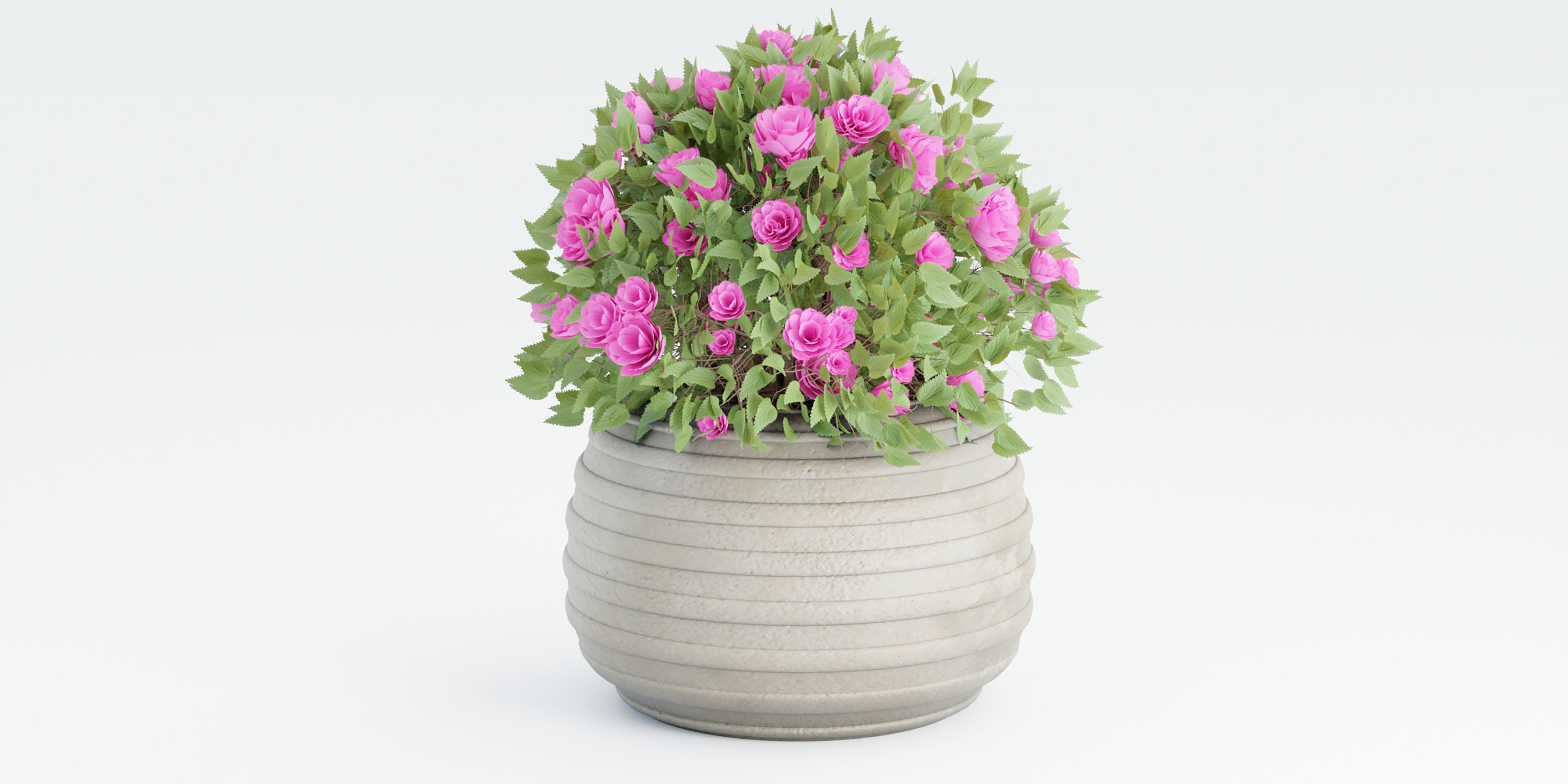 collection flowering bush vol 16-Blender 3D model | CGTrader