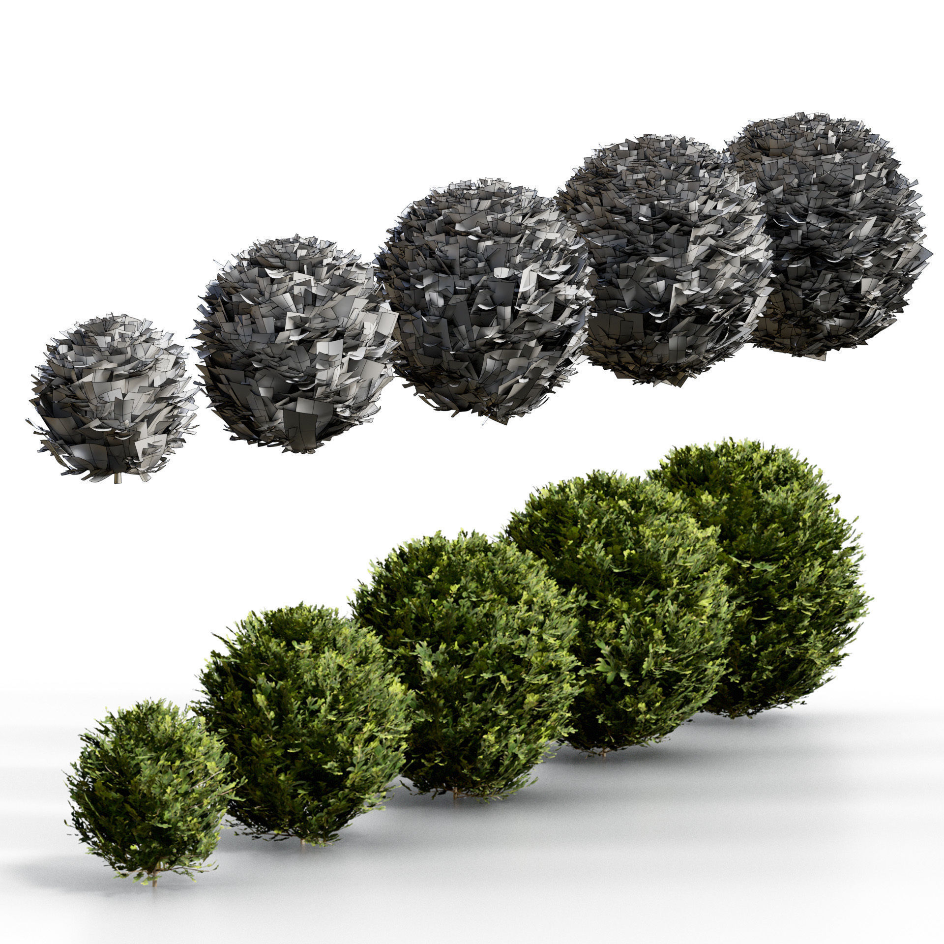 3D model BoxWood Spherical Collection - PBR - MidPoly VR / AR / low ...