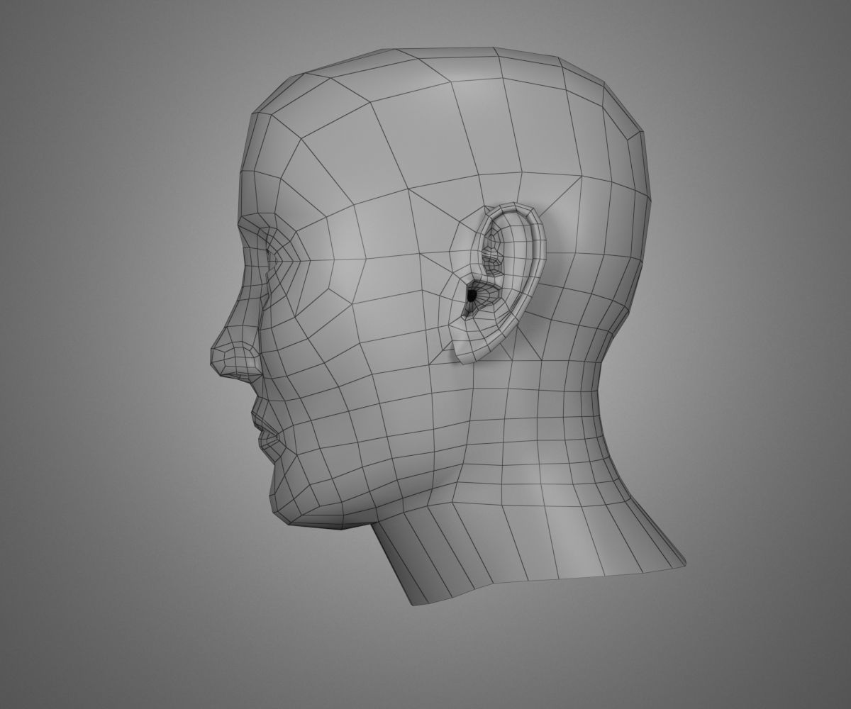 3D model Male Head 3d Model VR / AR / low-poly | CGTrader