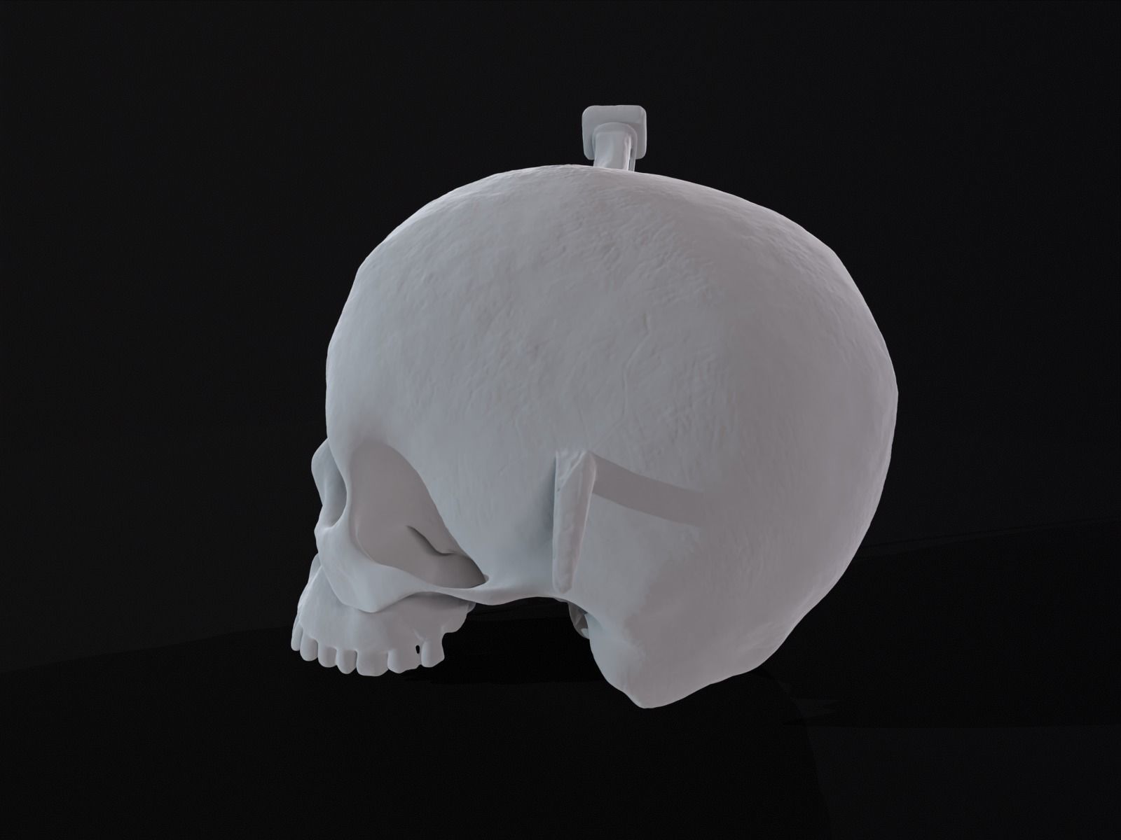 Impaled Skull - 3D Printing 3D model 3D printable | CGTrader