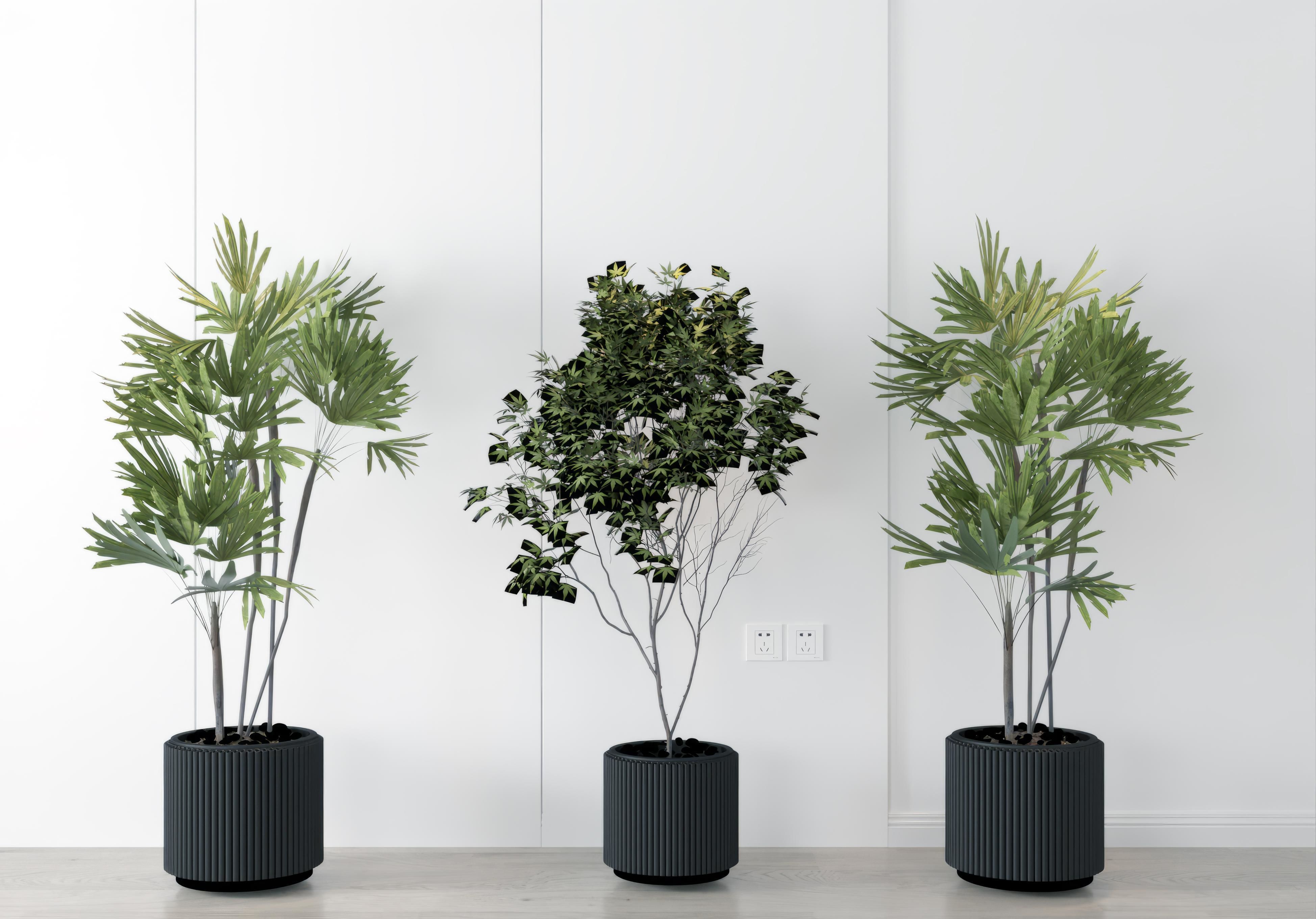 Plant Modern Potting 3D model | CGTrader