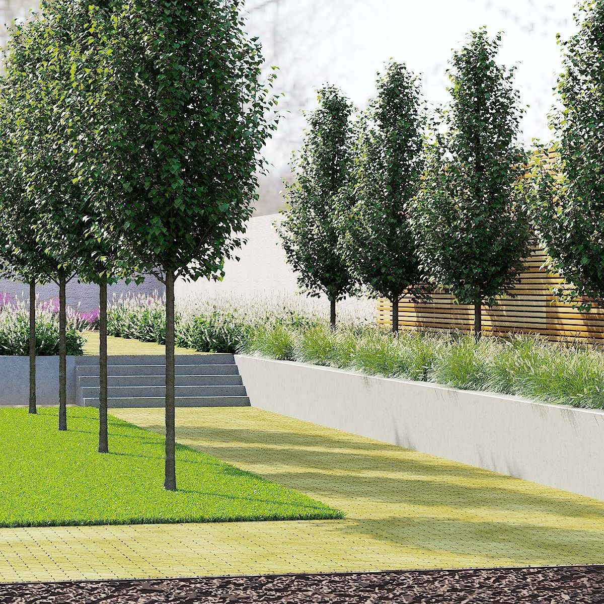 Pyrus calleryana chanticleer tree 3D model | CGTrader