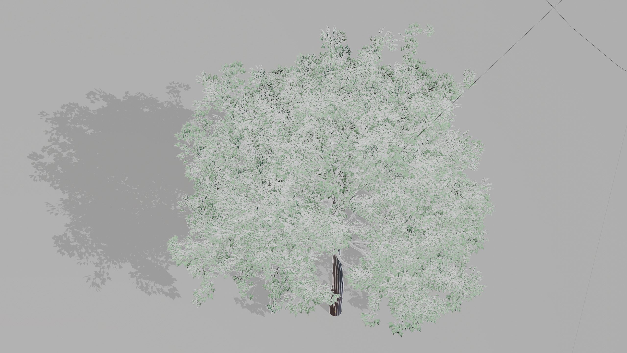 Beautiful Photorealistic All Seasons Trees 3D Model 3D model | CGTrader