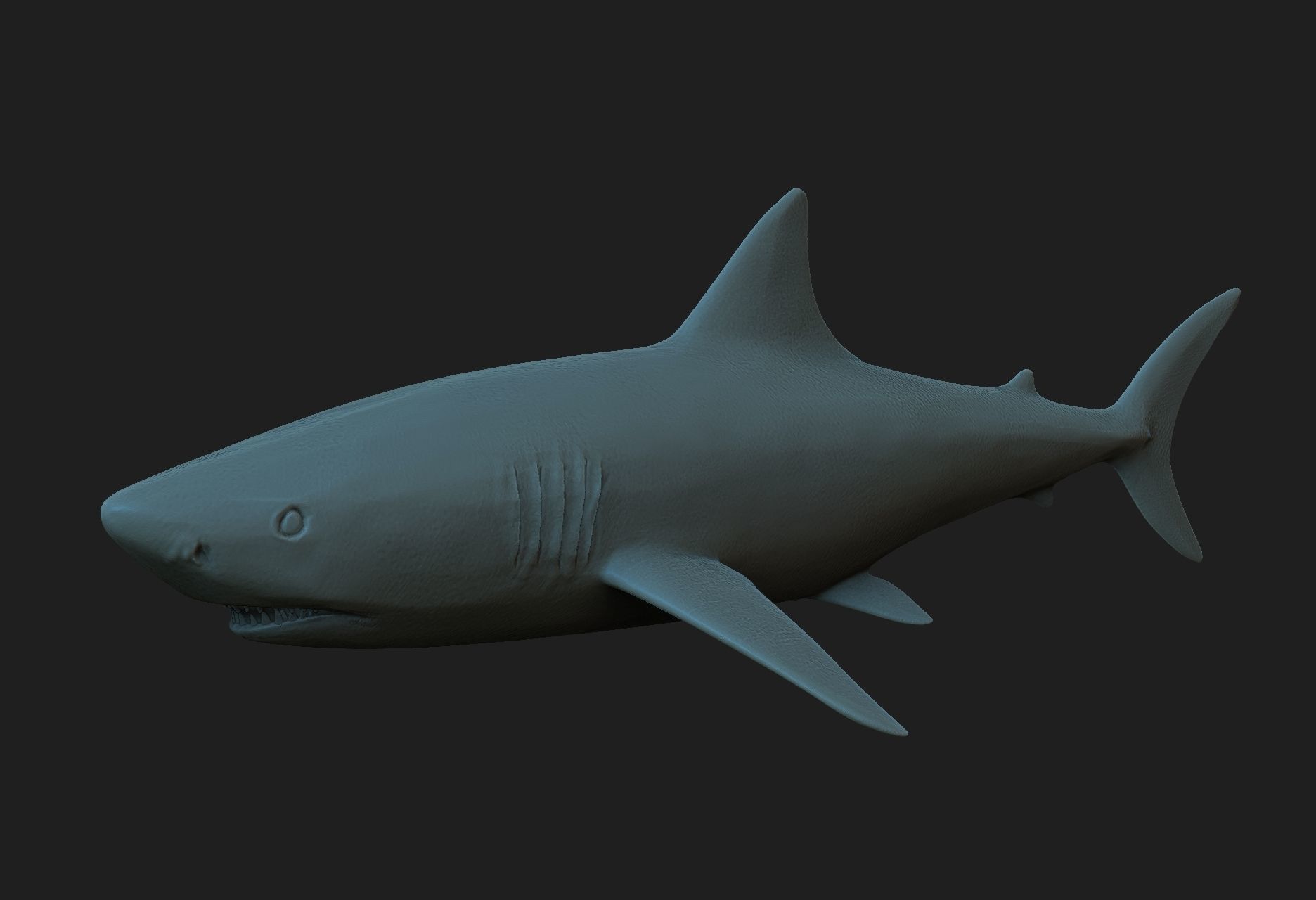 shark 3d model 3D model 3D printable | CGTrader