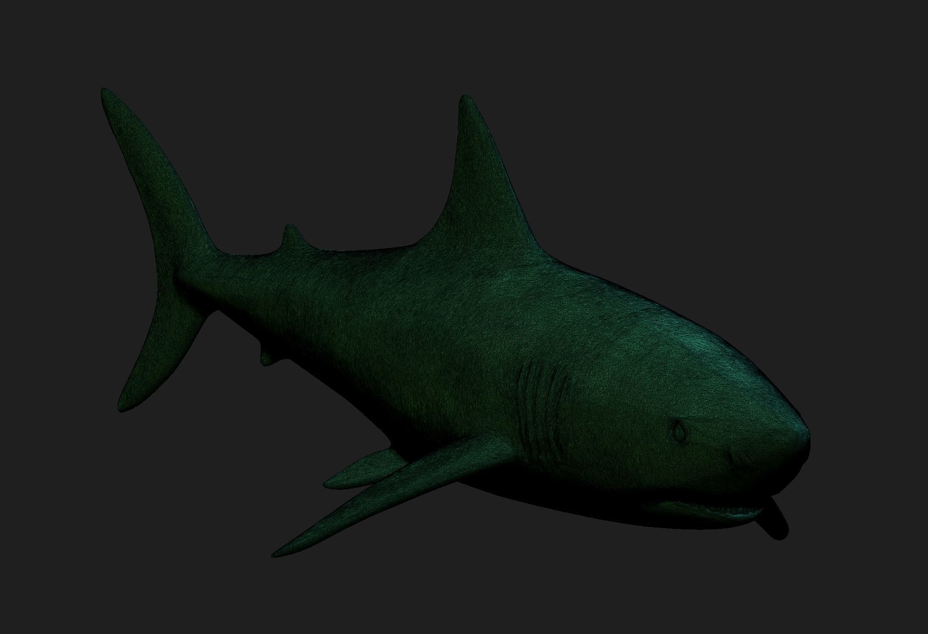 shark 3d model 3D model 3D printable | CGTrader
