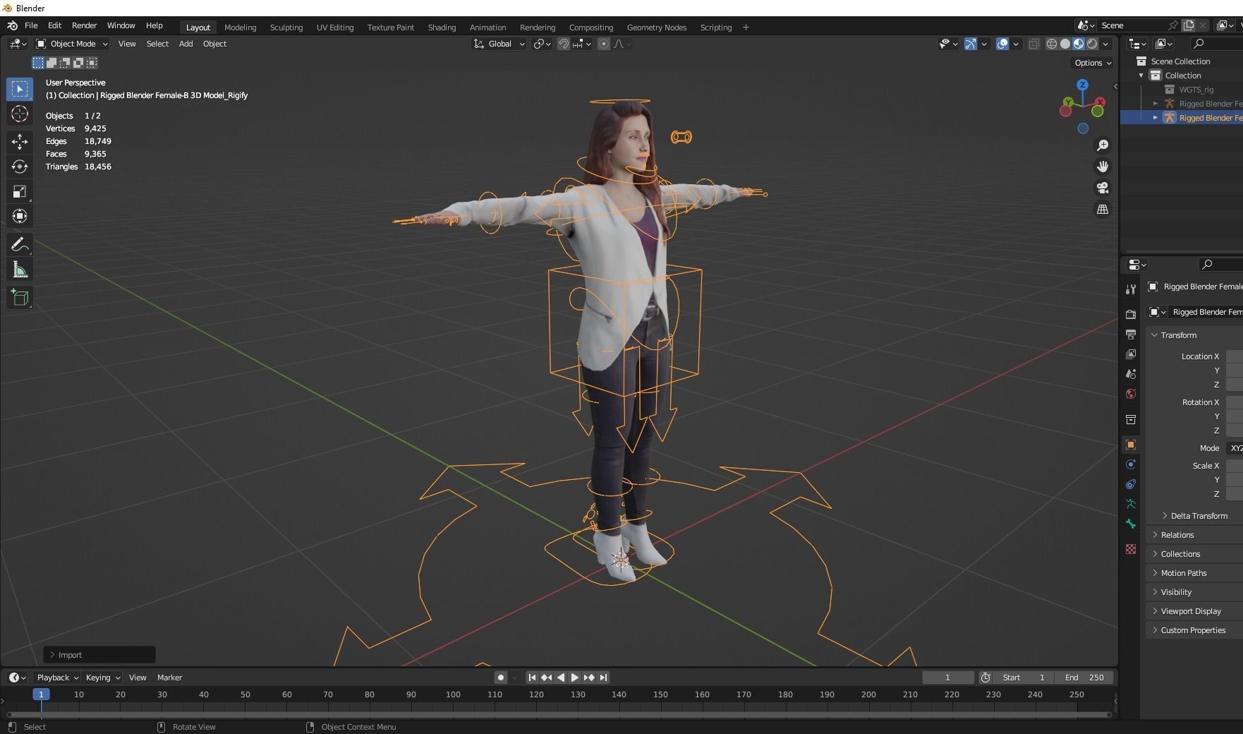 Rigged Blender Female-B 3D Model 3D model animated rigged | CGTrader