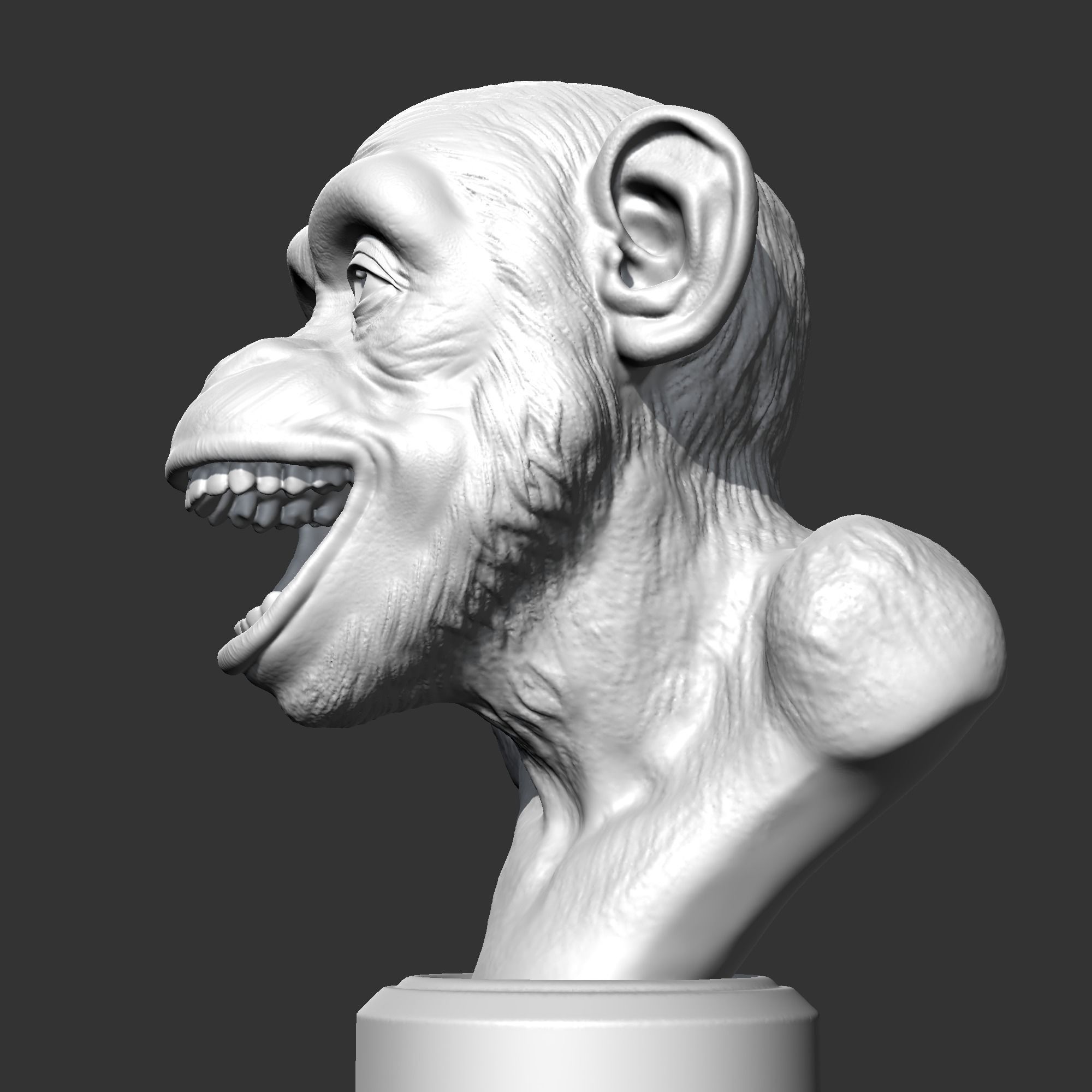 Chimp Head AM24 3D print model 3D model 3D printable | CGTrader