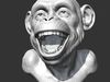 Chimp Head AM24 3D print model 3D model 3D printable | CGTrader