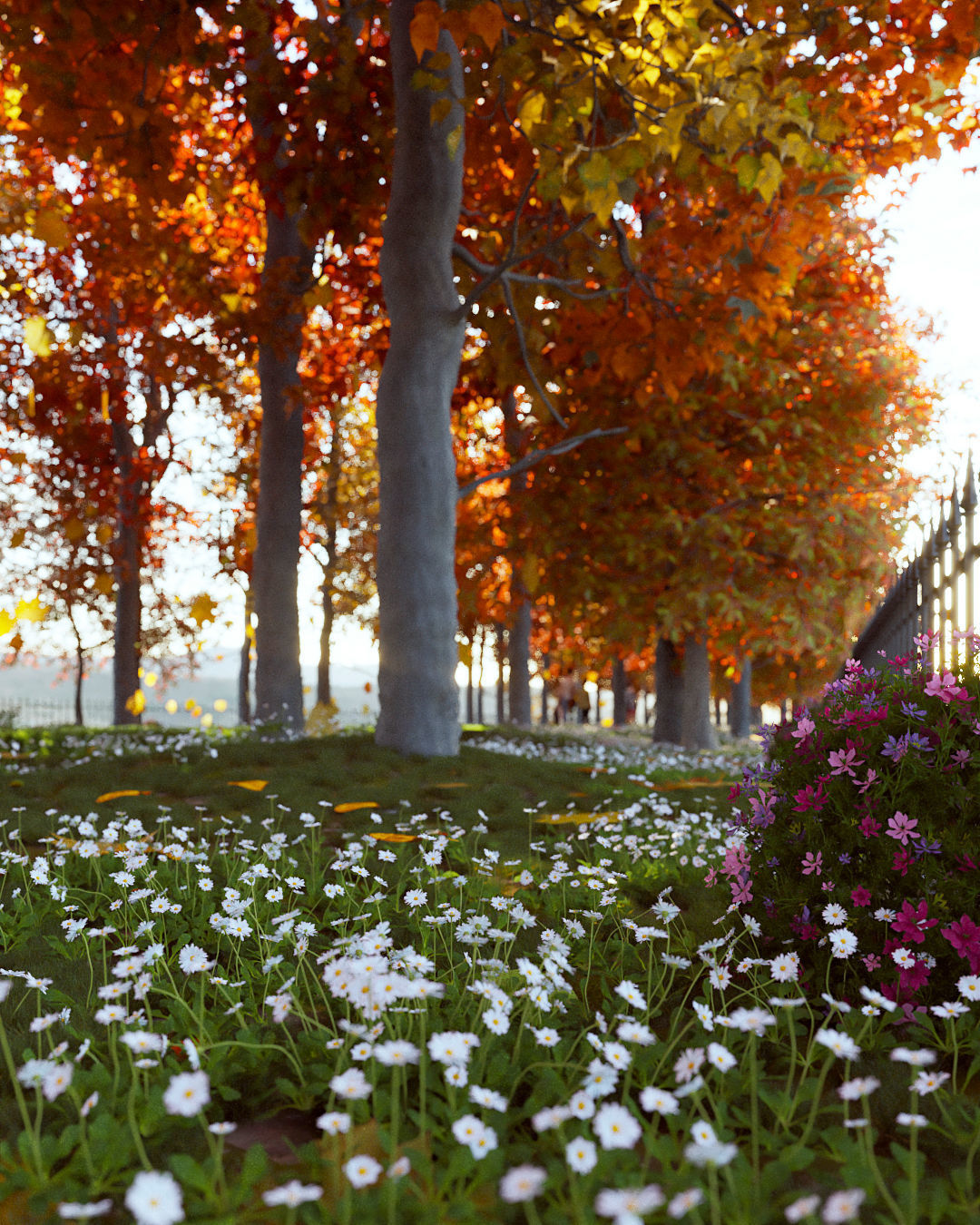 Autumn Road - Full Model Sketchup - V-ray Render 3D model | CGTrader