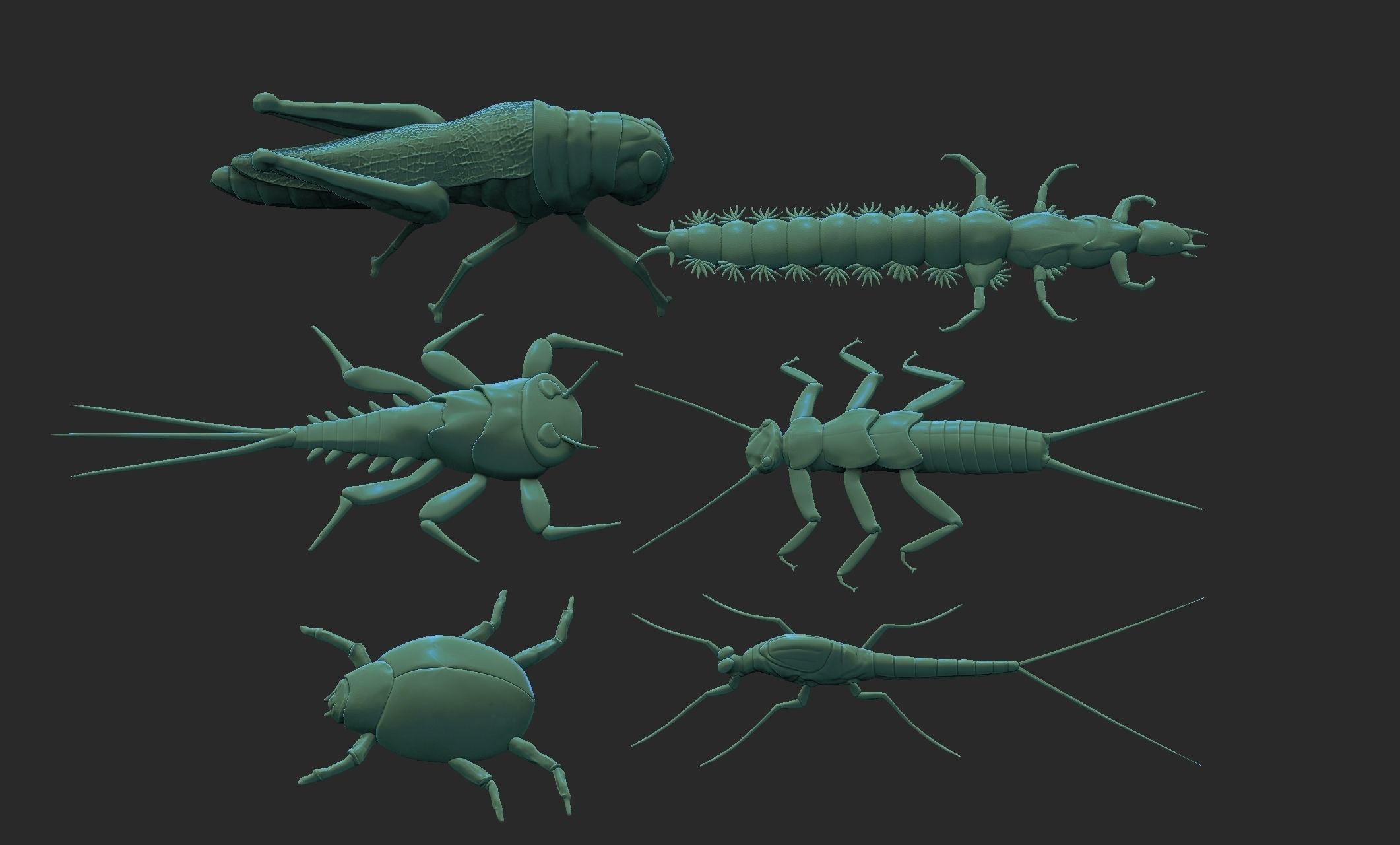 insects collection 3D model 3D printable | CGTrader