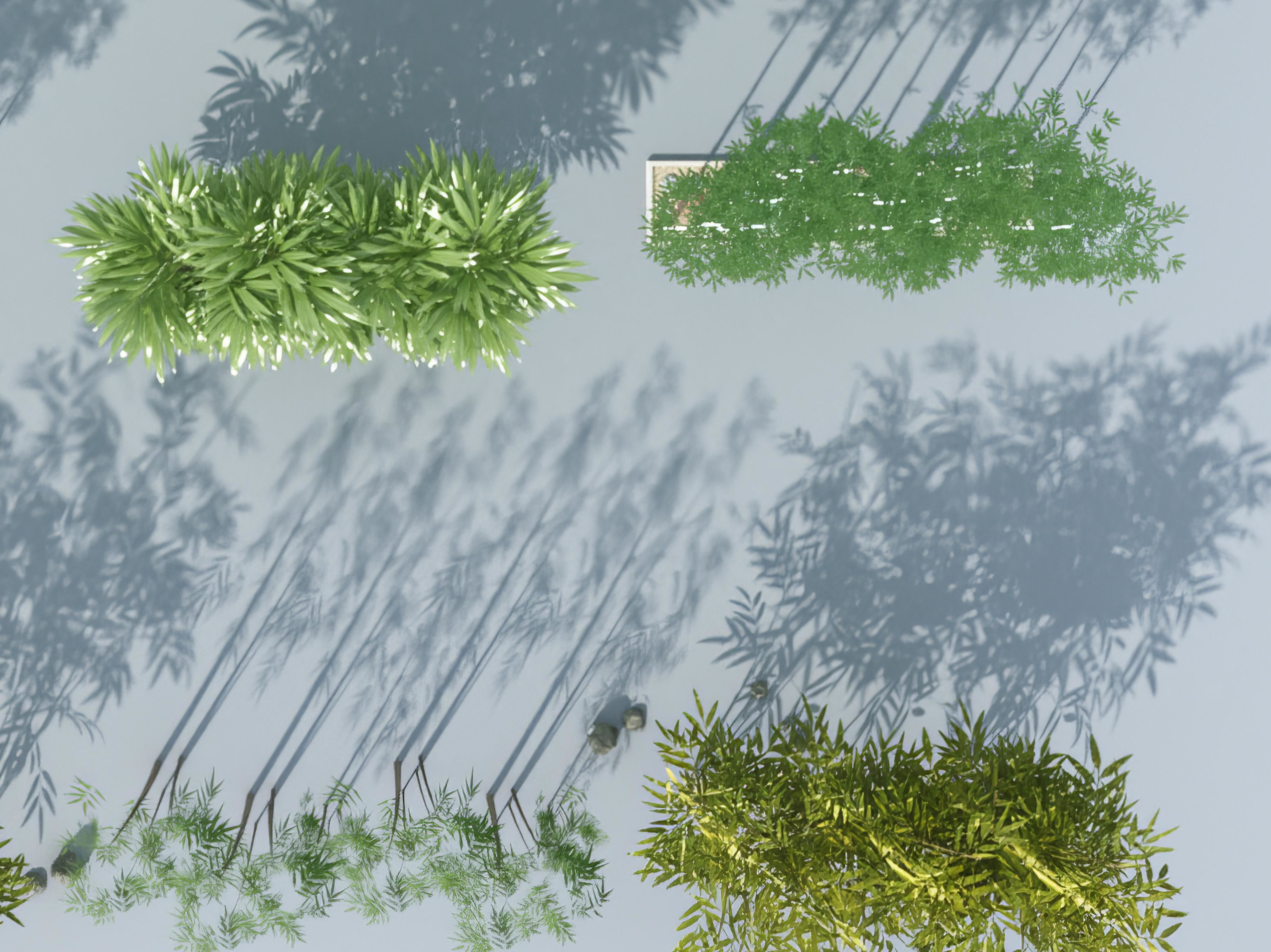 plants flowers Modern Plant monomer 3D model | CGTrader