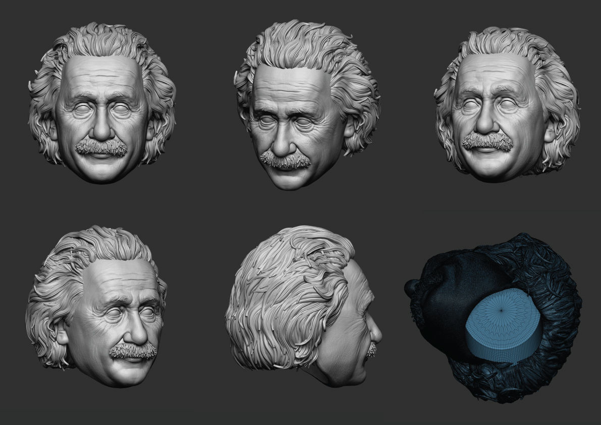 Albert Einstein Head 3D model 3D printable | CGTrader