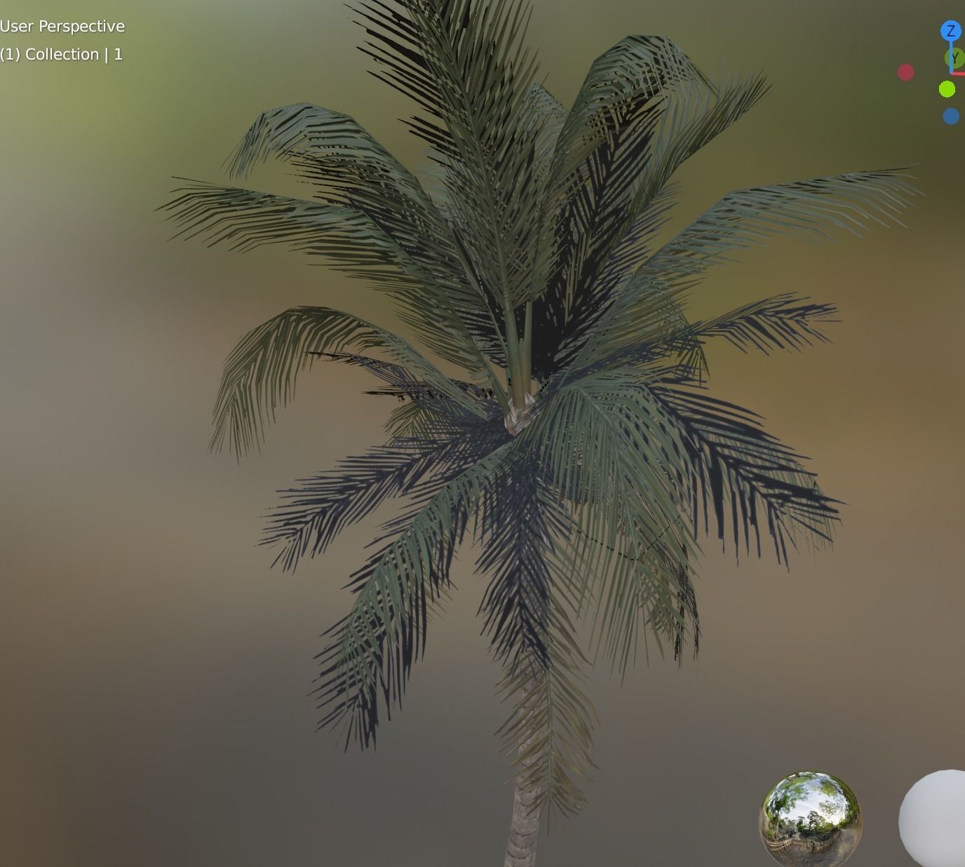 3D model coconut tree palm 2 VR / AR / low-poly | CGTrader