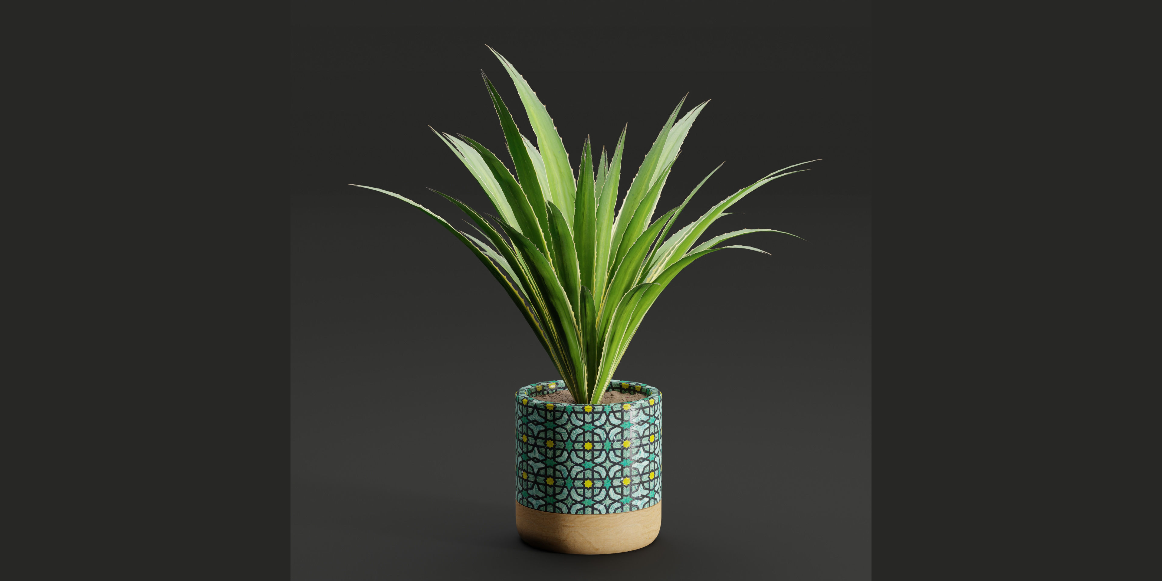 plants new collection vol 21-Blender 3D model | CGTrader
