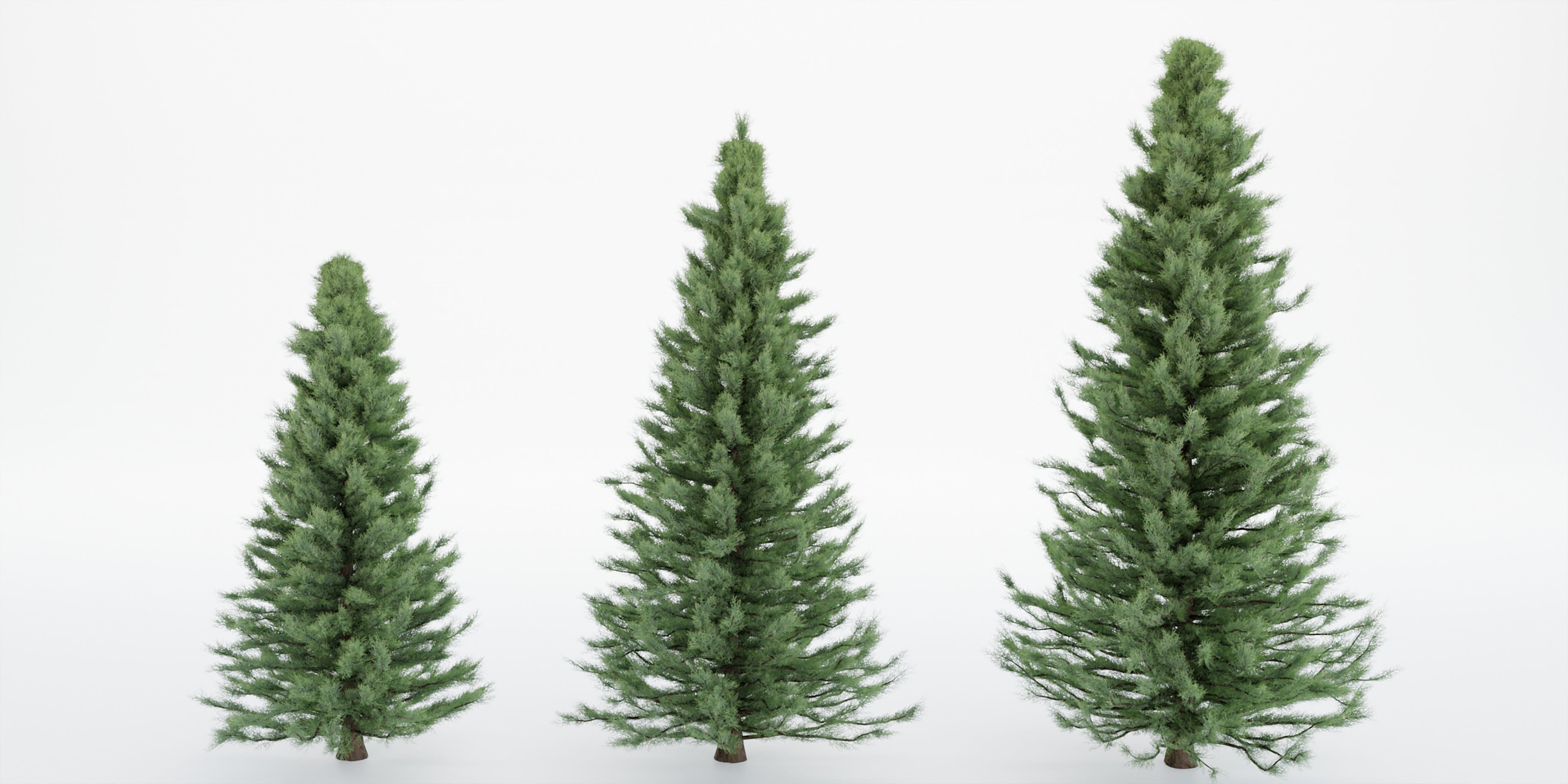 pine trees collection vol 22-Blender 3D model | CGTrader