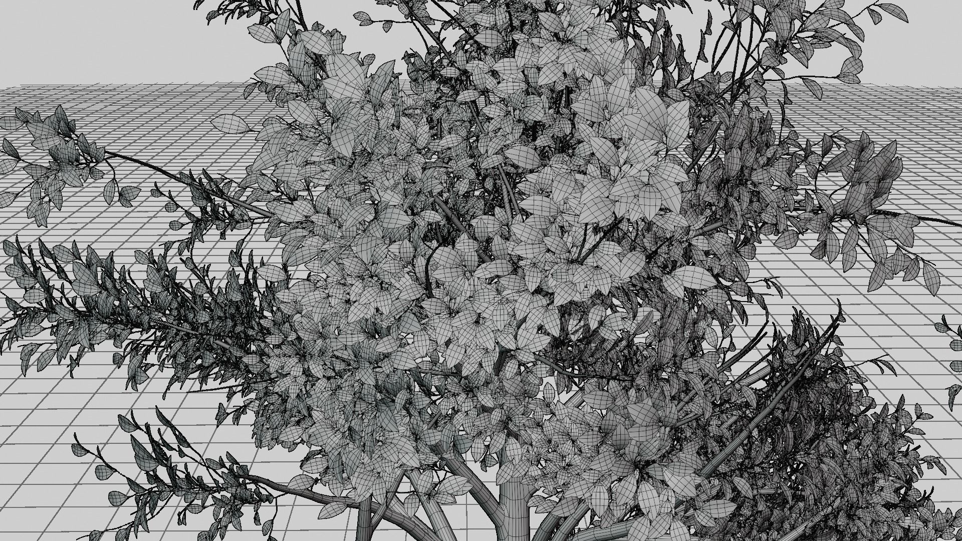 Nature Tree 3D model | CGTrader