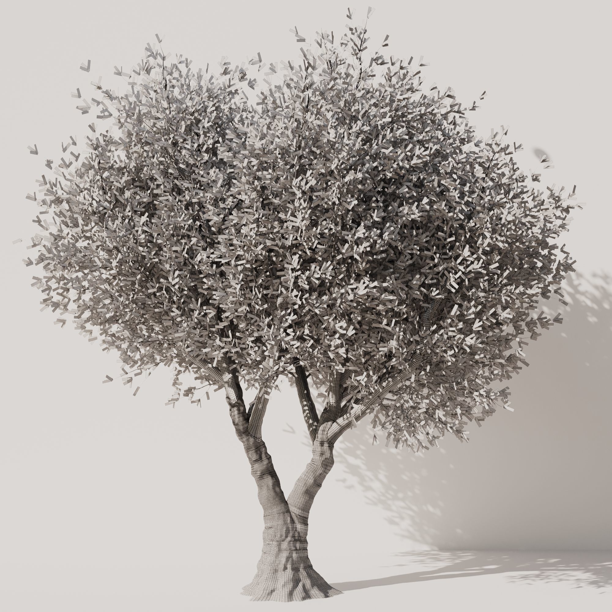 Olive Tree Set7 3D model | CGTrader