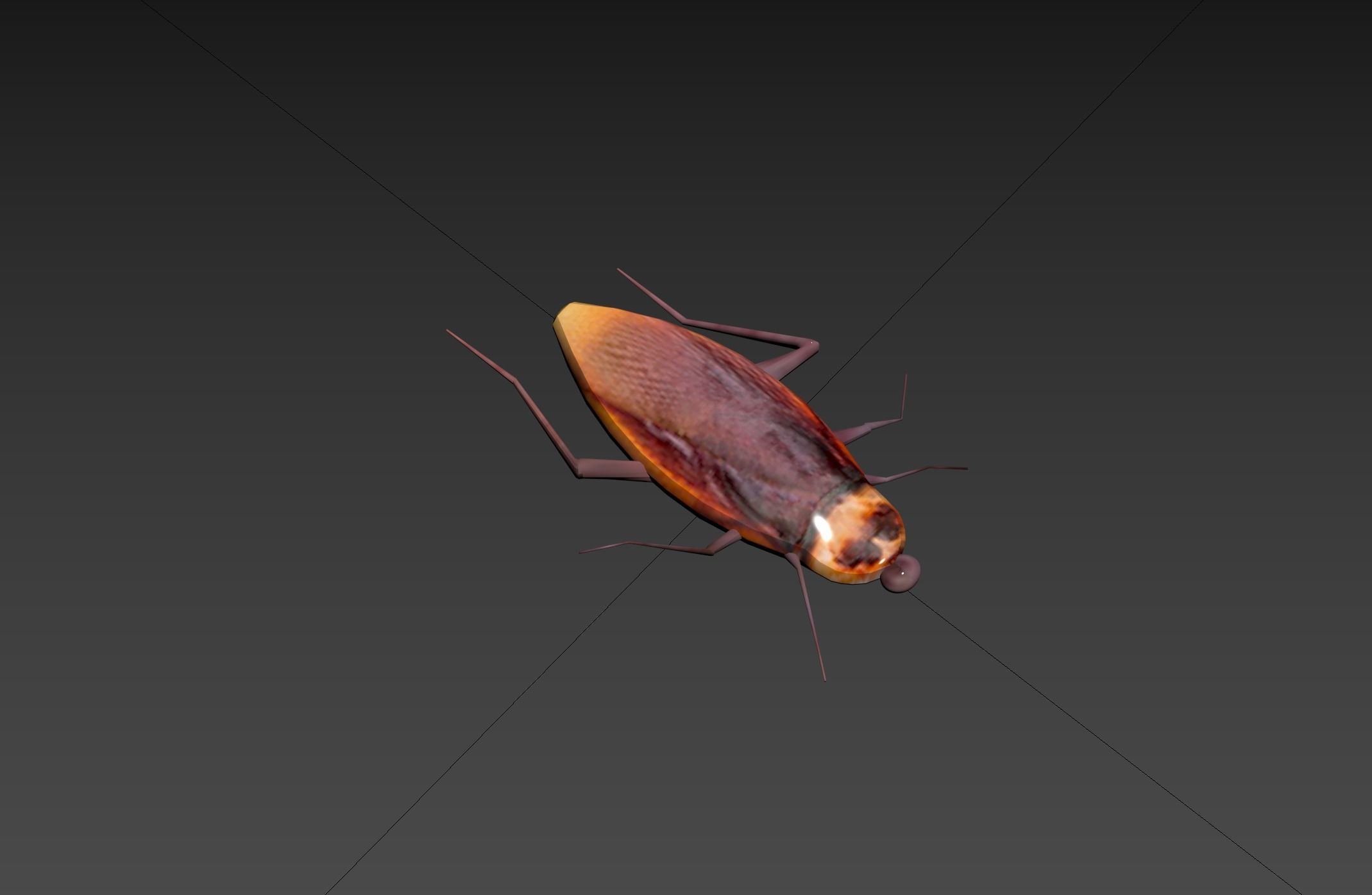 Insect cockroach free VR / AR / low-poly 3D model animated | CGTrader